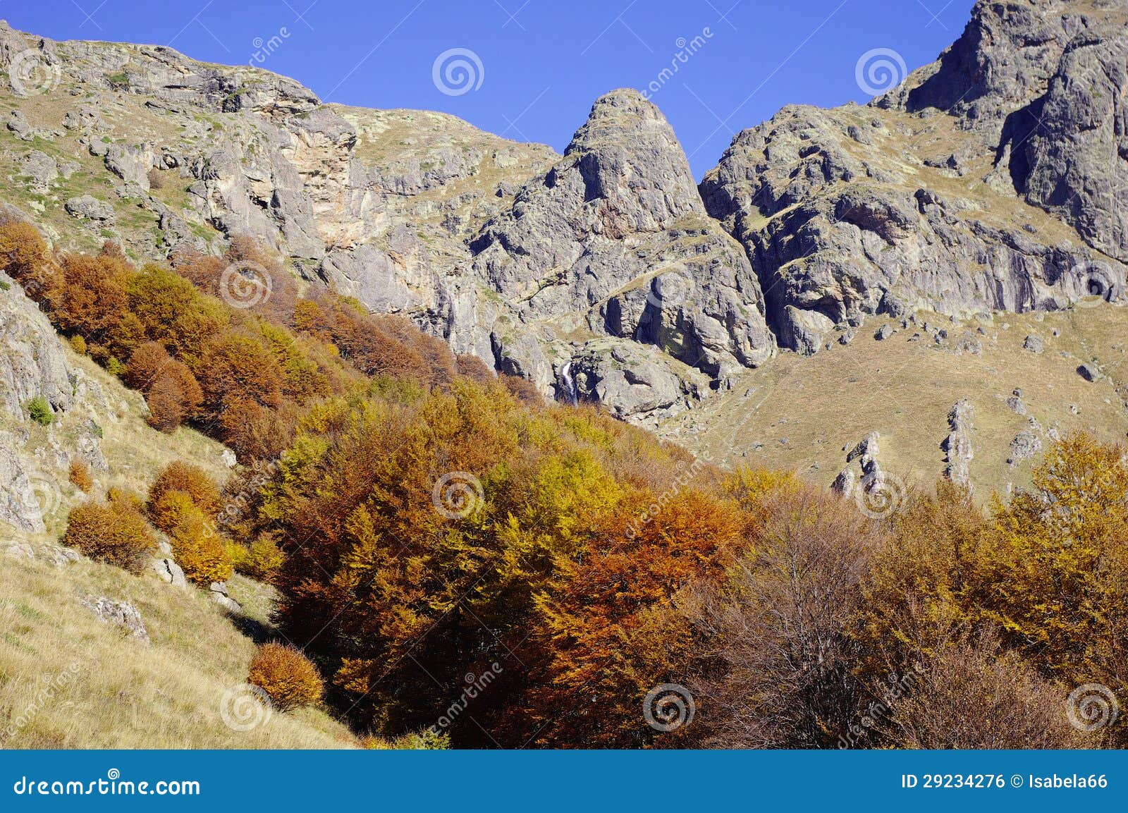 Autumn in Central Balkan, Bulgaria Stock Photo - Image of meadow, park ...