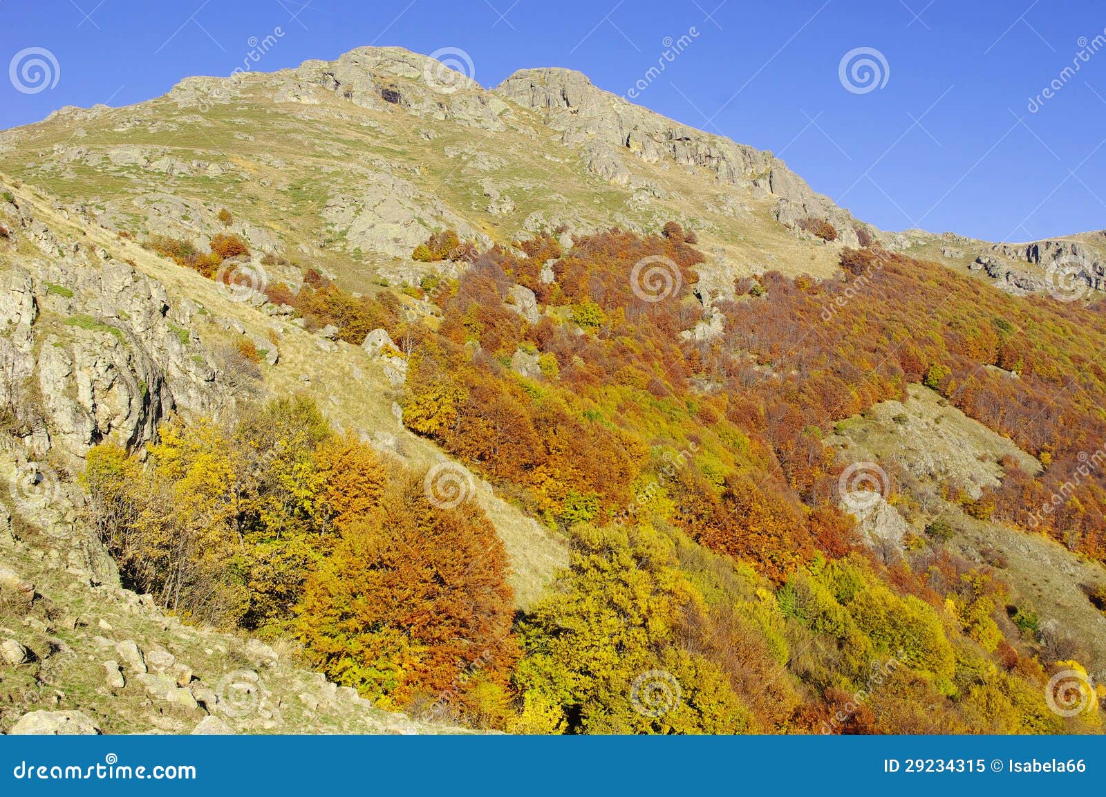 Autumn in Central Balkan, Bulgaria Stock Image - Image of ridge ...