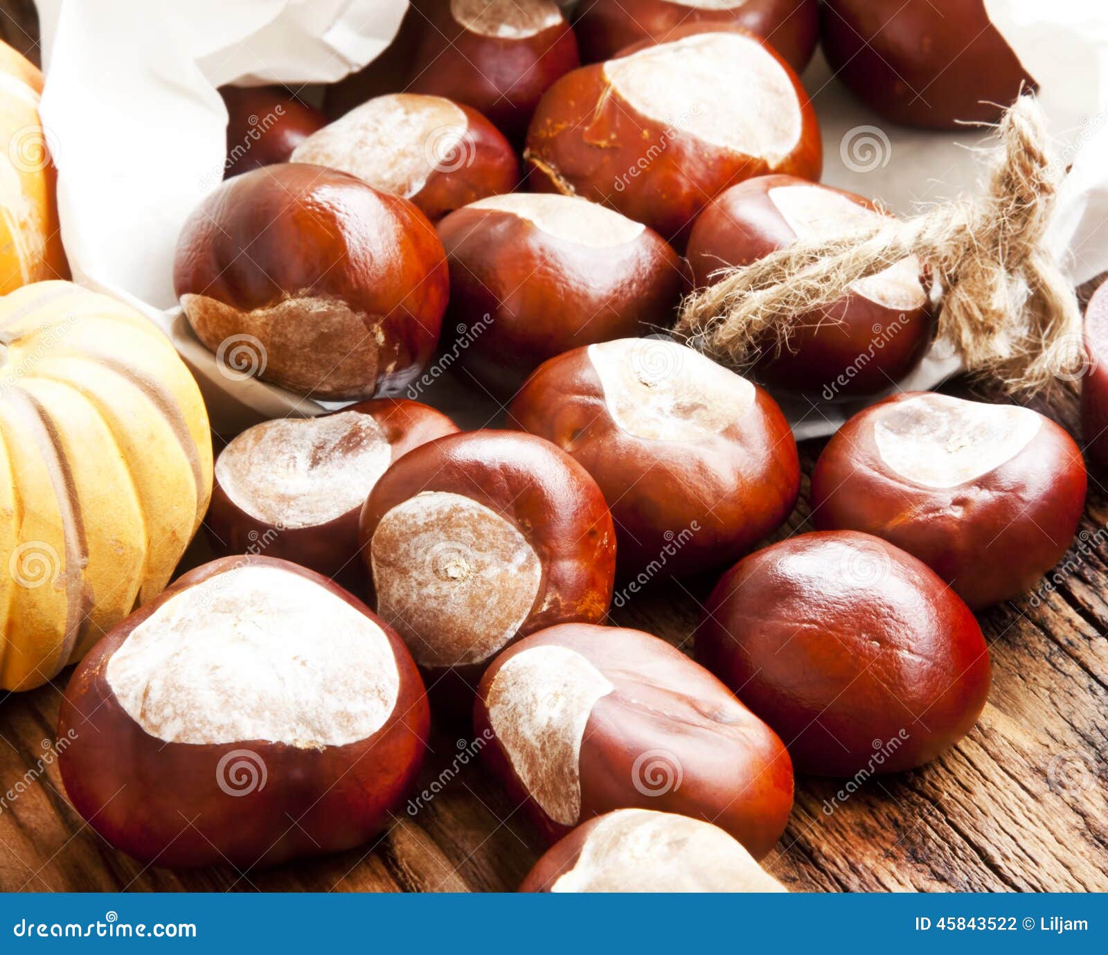 Autumn Chestnuts stock photo. Image of season, nuts, seasonal - 45843522