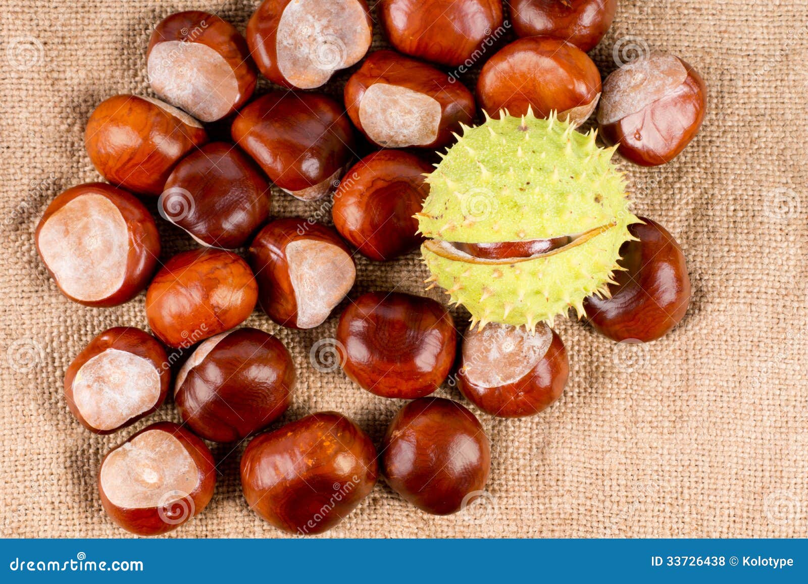 Autumn chestnuts stock photo. Image of seeds, peel, nature - 33726438