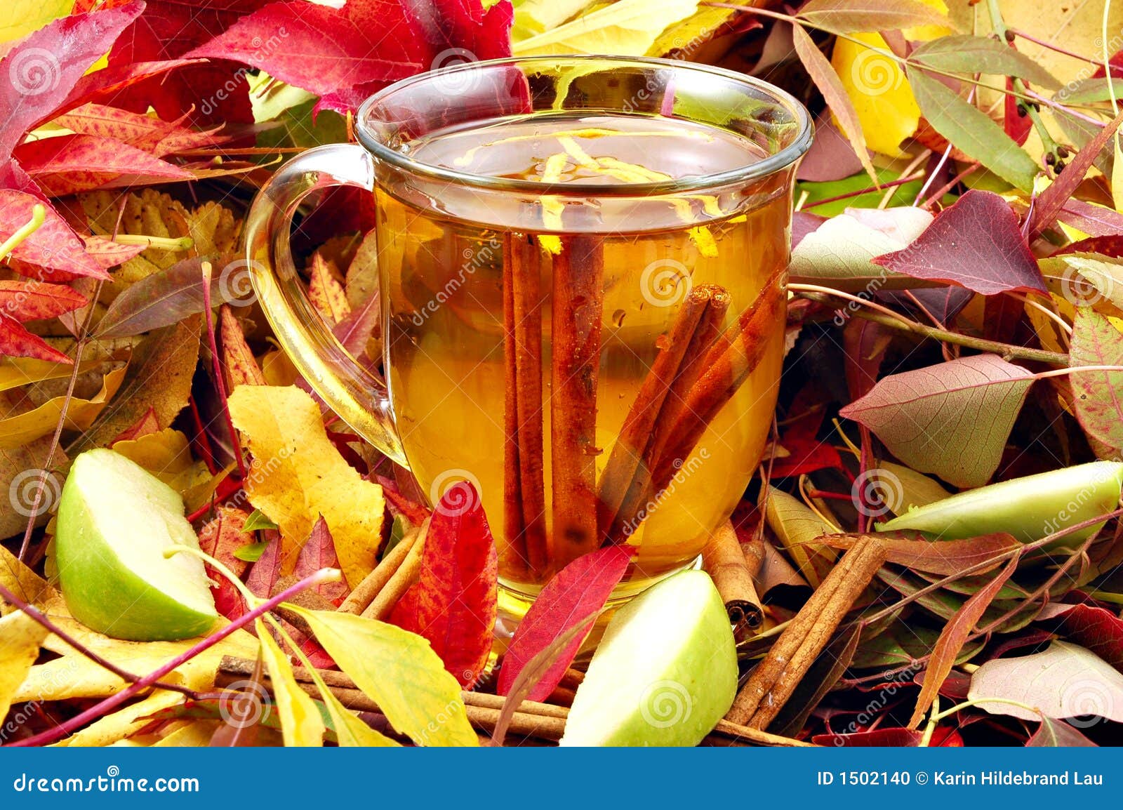 Autumn Cider stock photo. Image of comfort, golden, spiced - 1502140