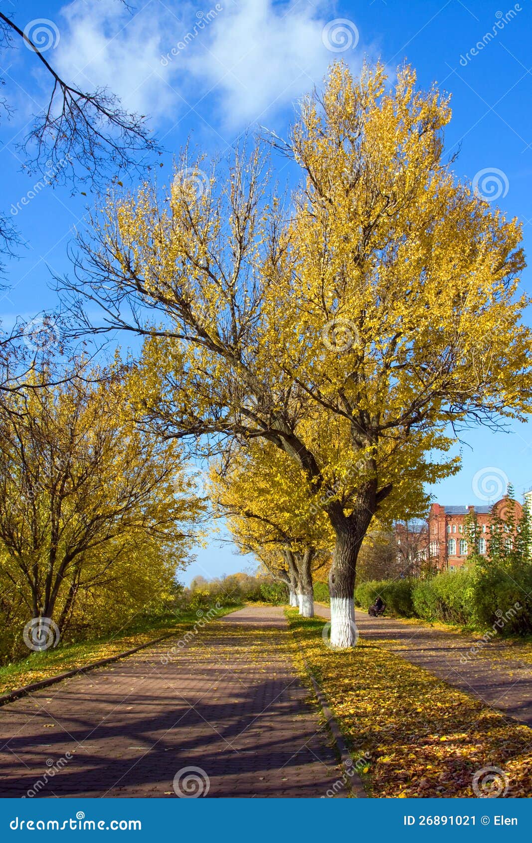 Autumn in city stock image. Image of forest, fall, landscape - 26891021