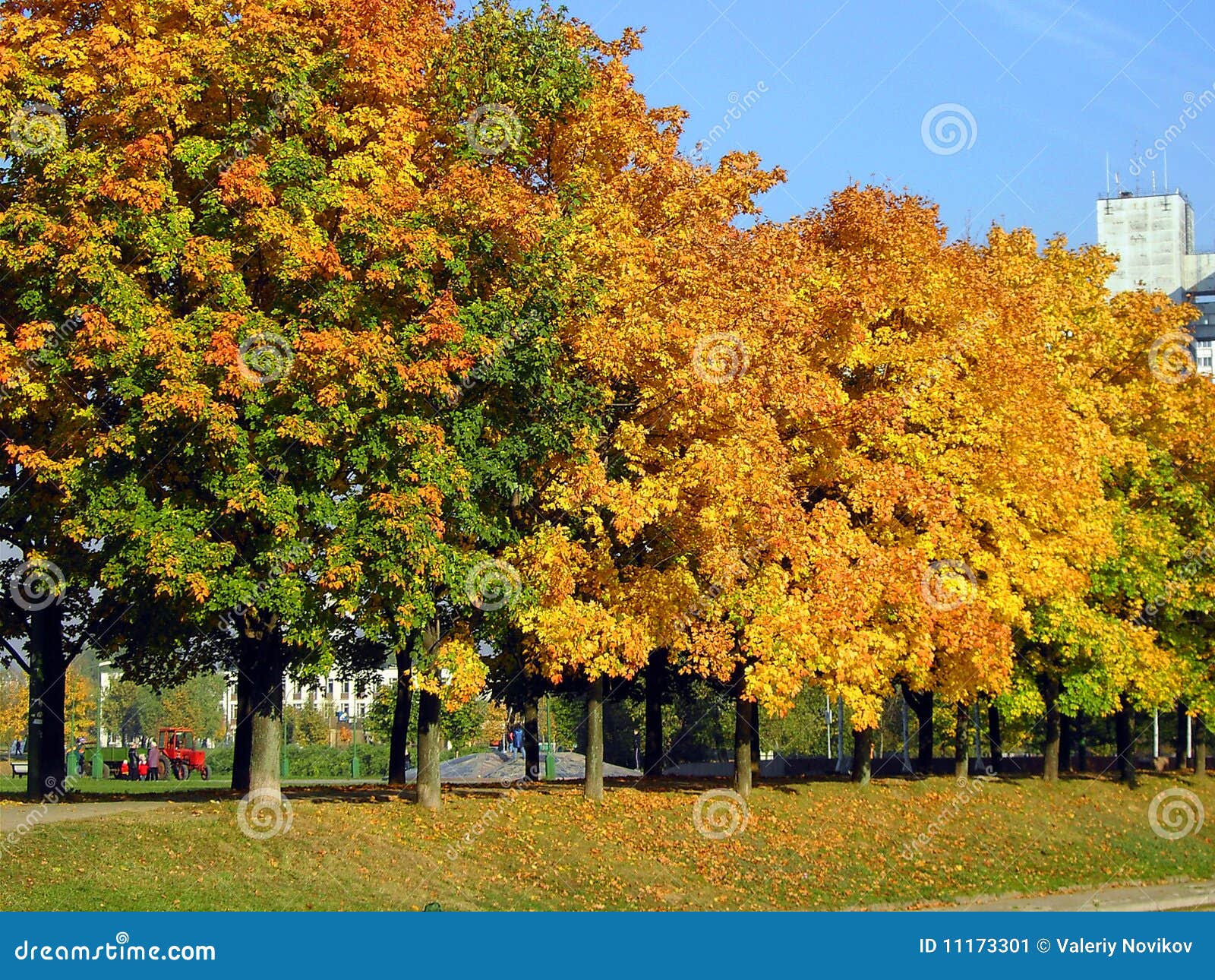 Autumn in city park stock image. Image of crown, pathway - 11173301