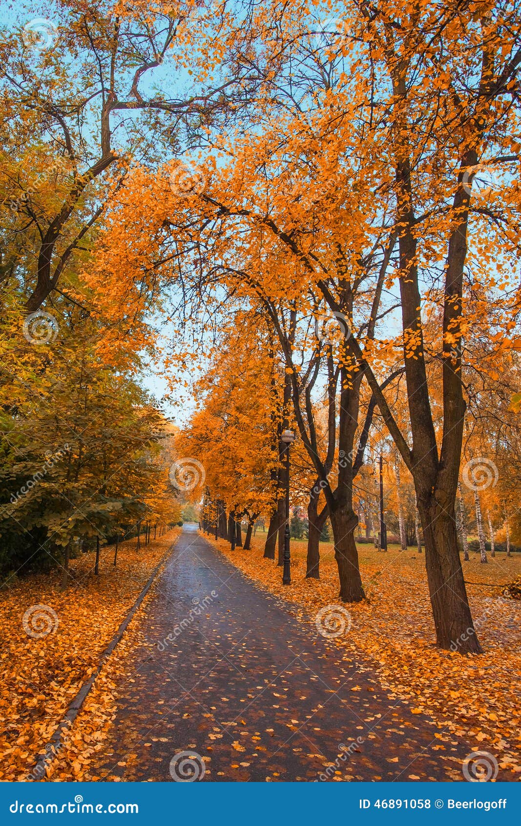 Autumn city park stock photo. Image of autumn, beautiful - 46891058