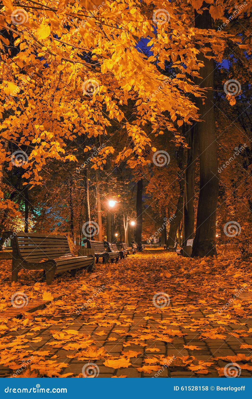 Autumn city park at night stock photo. Image of people - 61528158