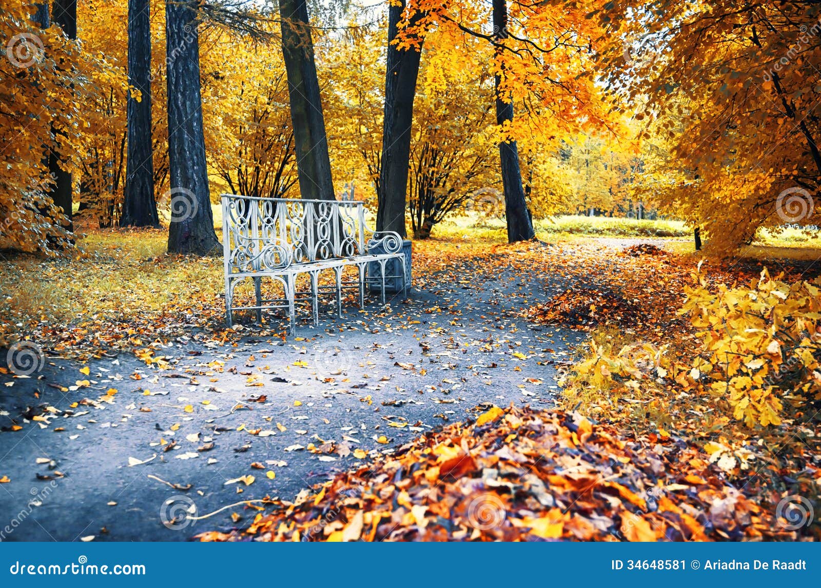 Autumn in city park stock image. Image of bench, orange - 34648581