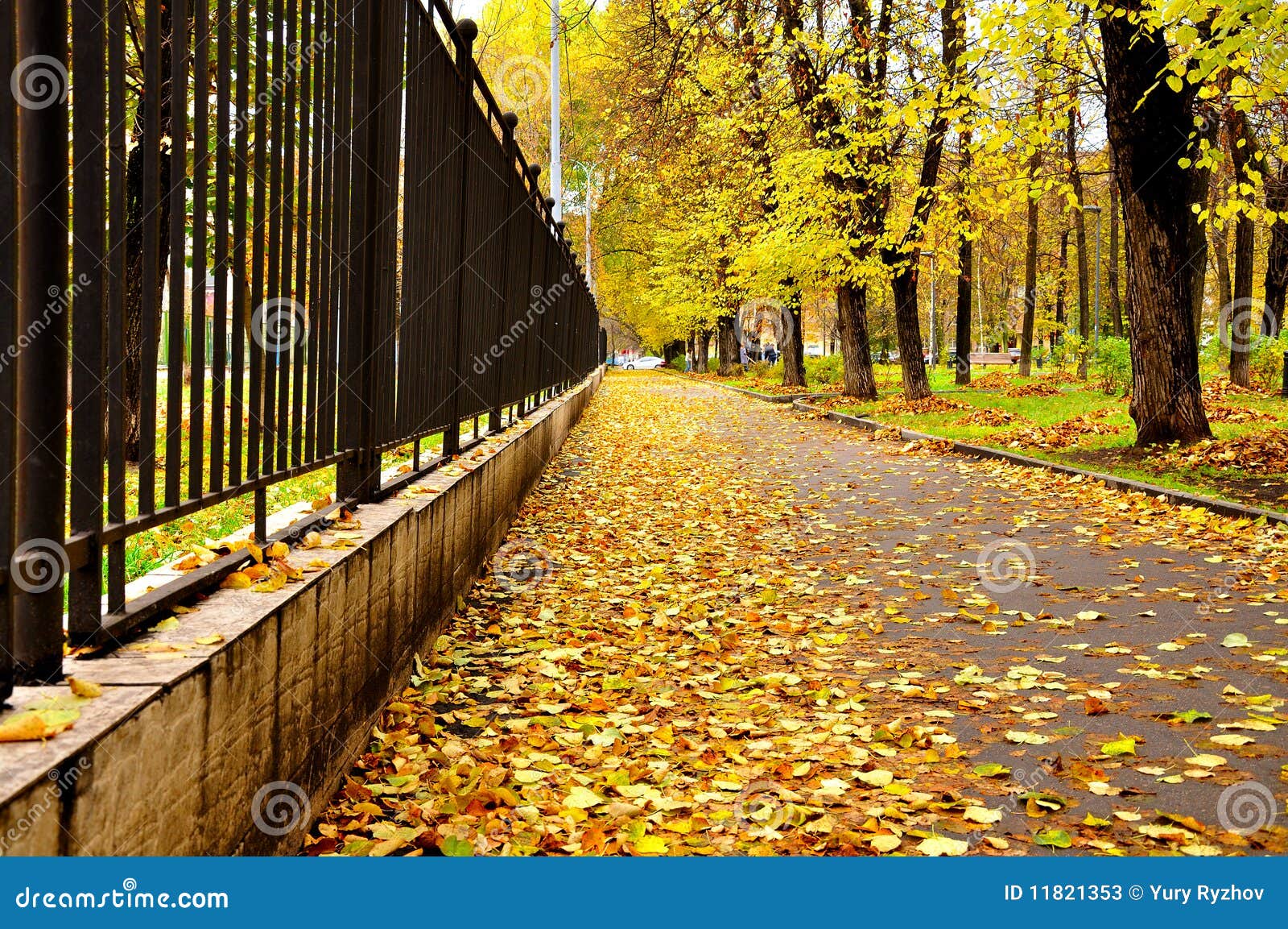 Autumn City Street stock image. Image of residential - 11821353