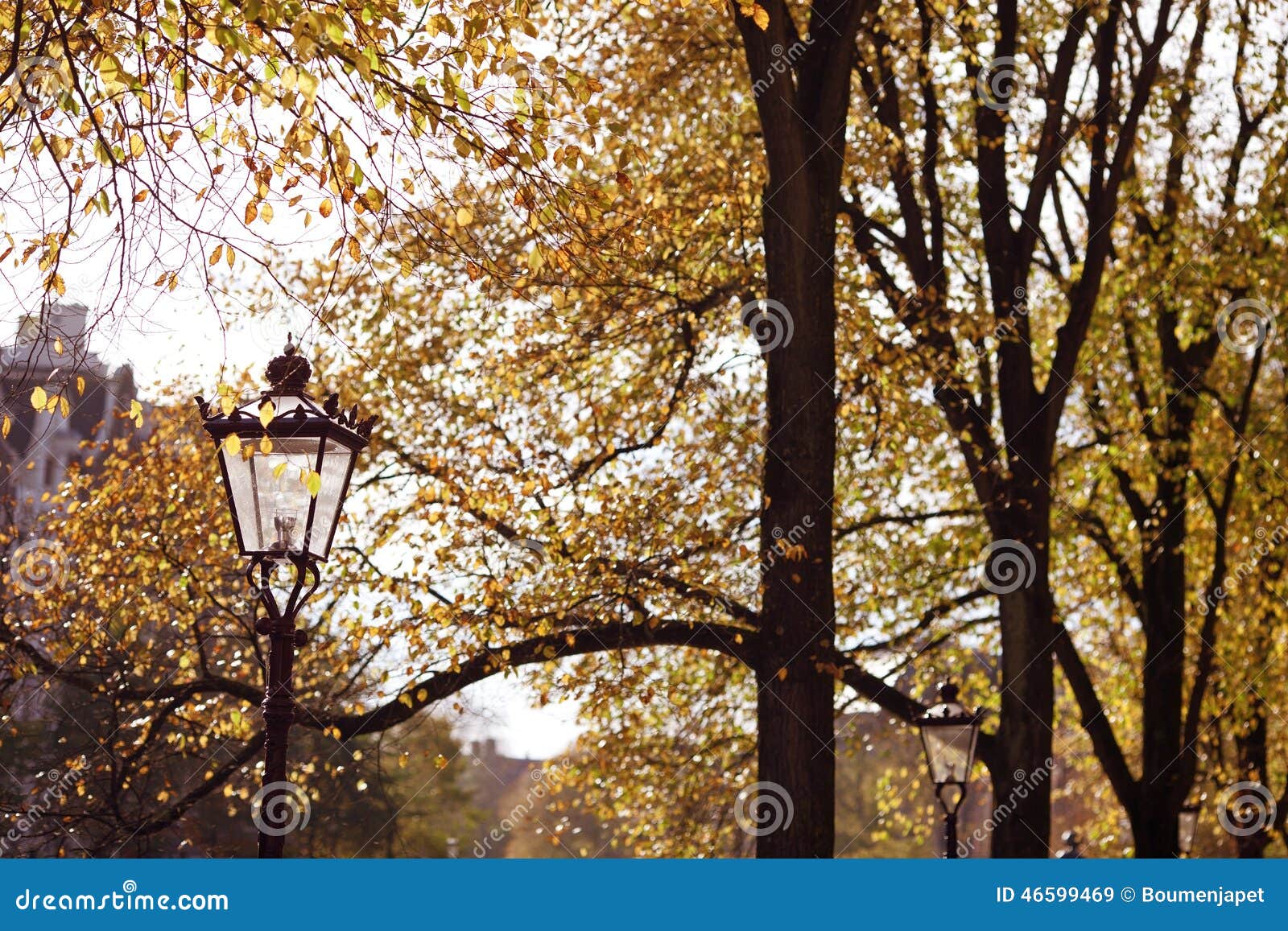 Autumn in the city stock image. Image of landscape, september - 46599469