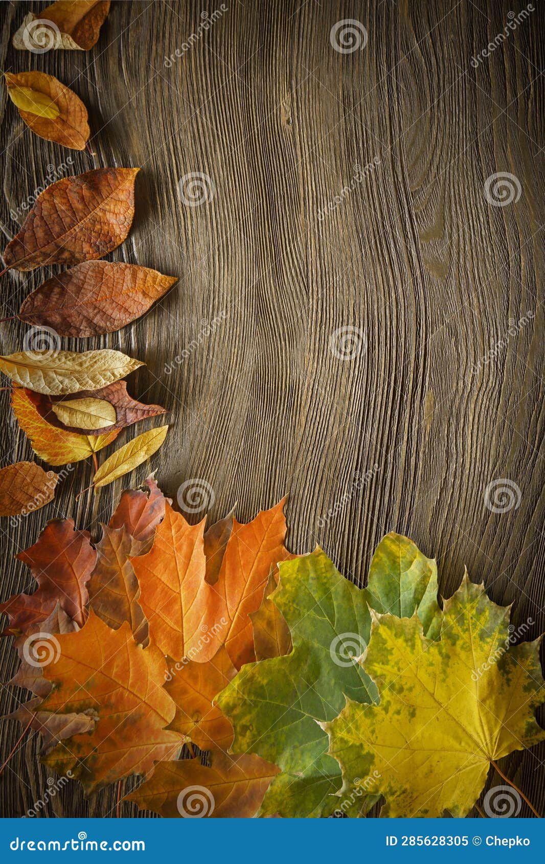 Autumn Classified on the Tree with Leaf Frame for Words and ...