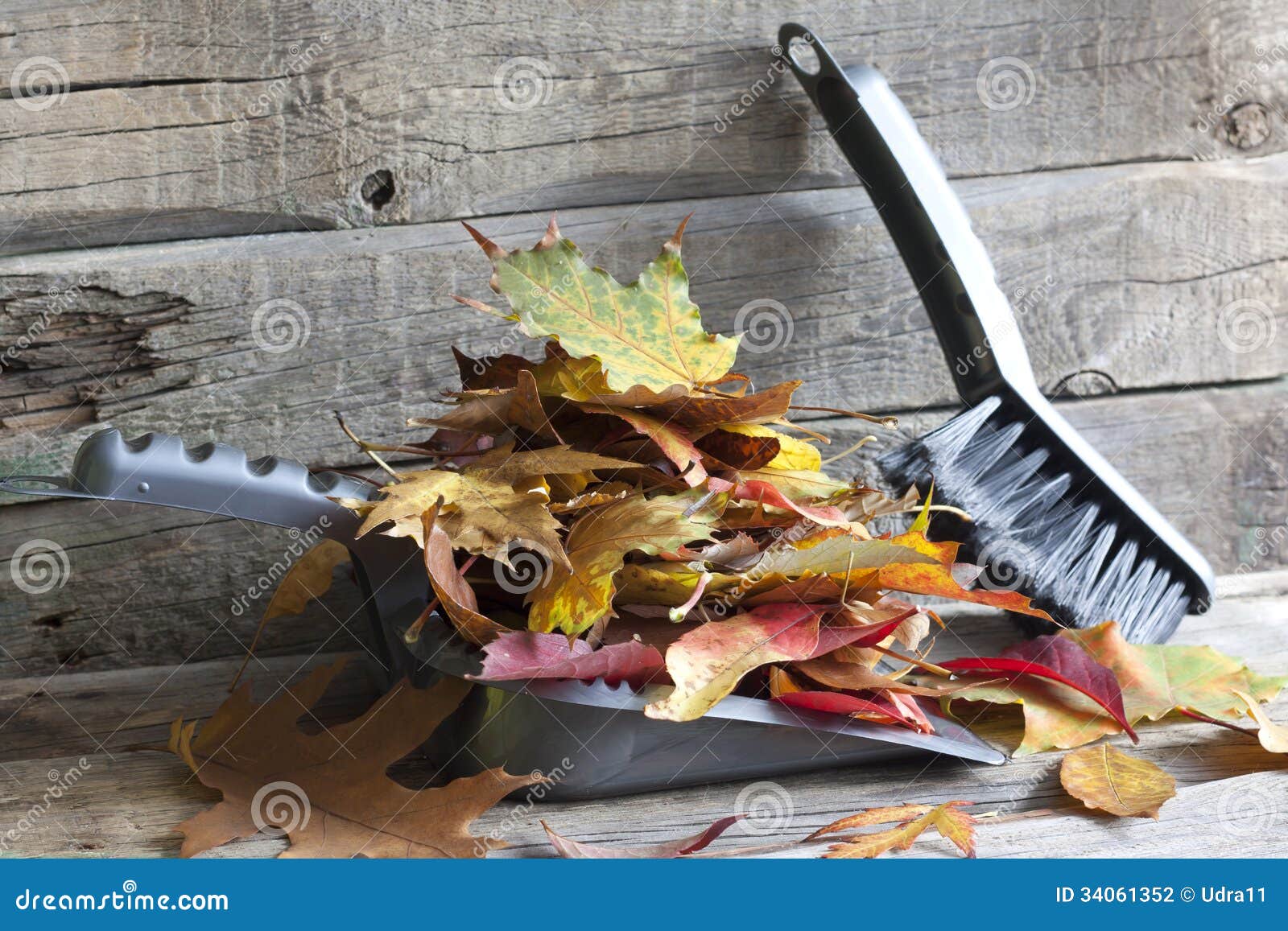 Autumn Cleaning Abstract with Leaves Stock Photo - Image of creative ...
