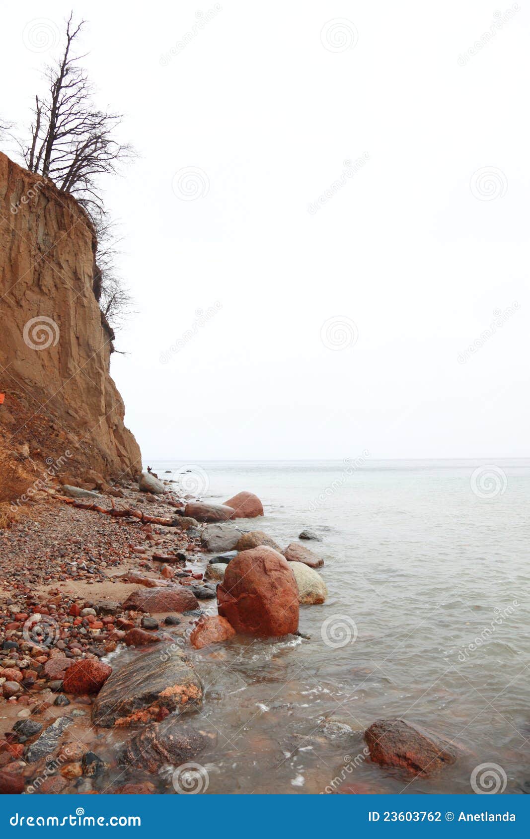 Autumn Cliff in Orlowo, Gdynia Poland Stock Photo - Image of forest ...