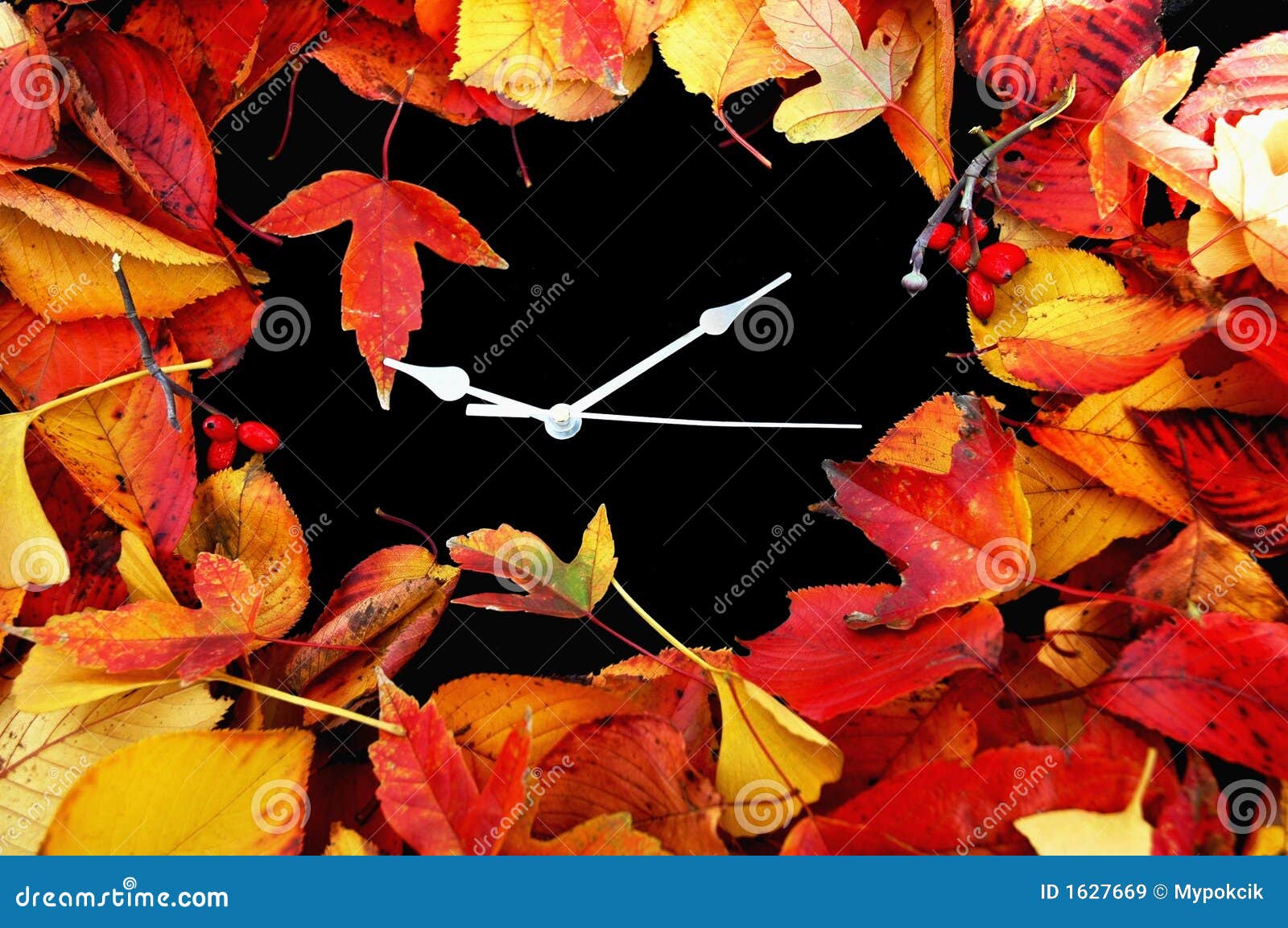 Autumn Clock stock image. Image of season, concept, brown - 1627669