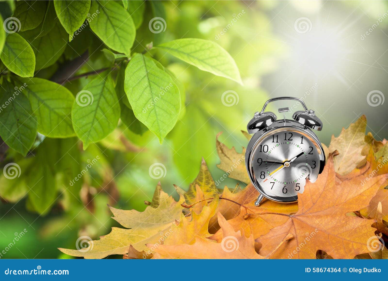 Autumn stock photo. Image of season, autumn, retrostyled - 58674364