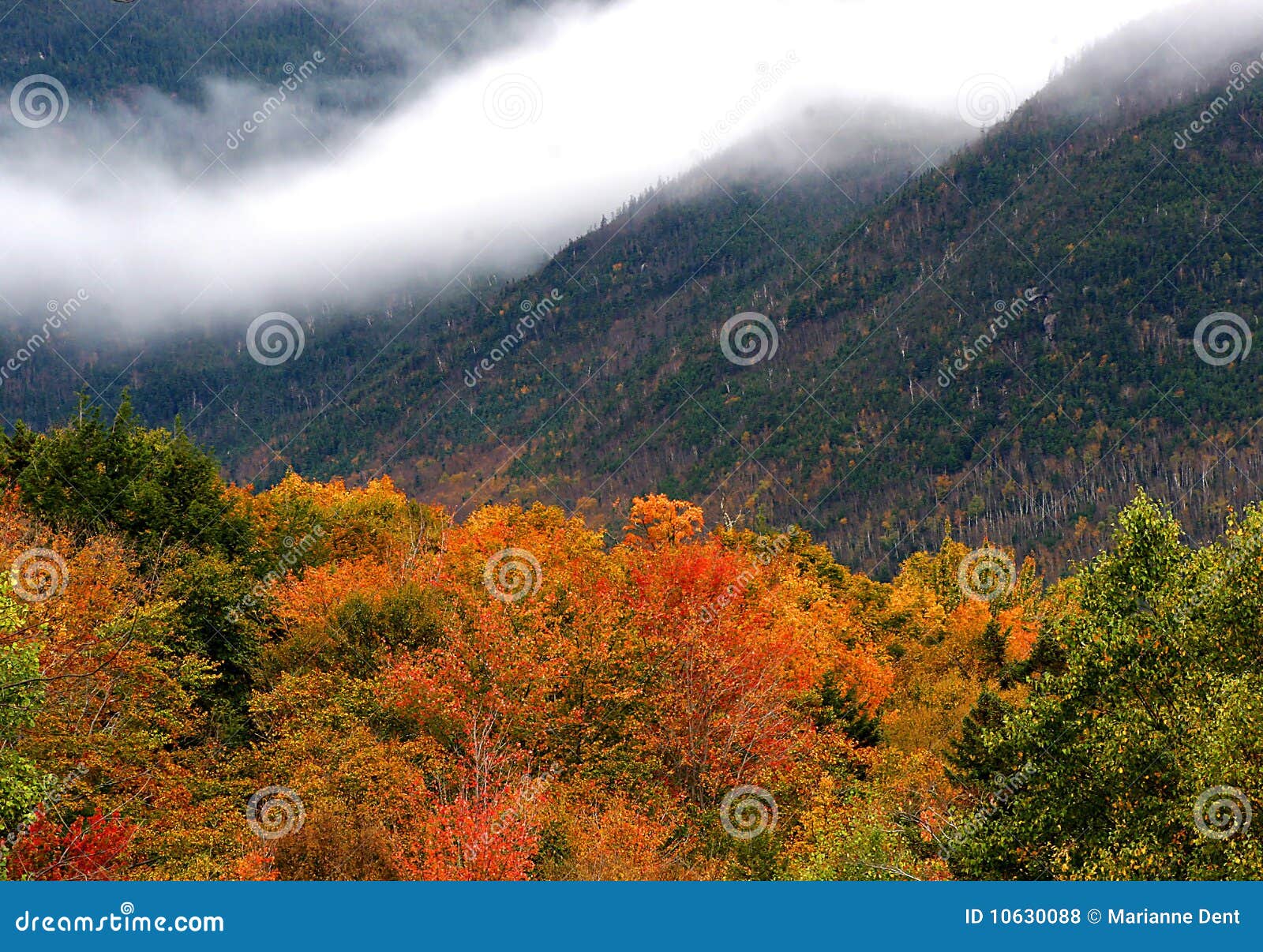 Autumn cloud stock photo. Image of orange, mist, green - 10630088