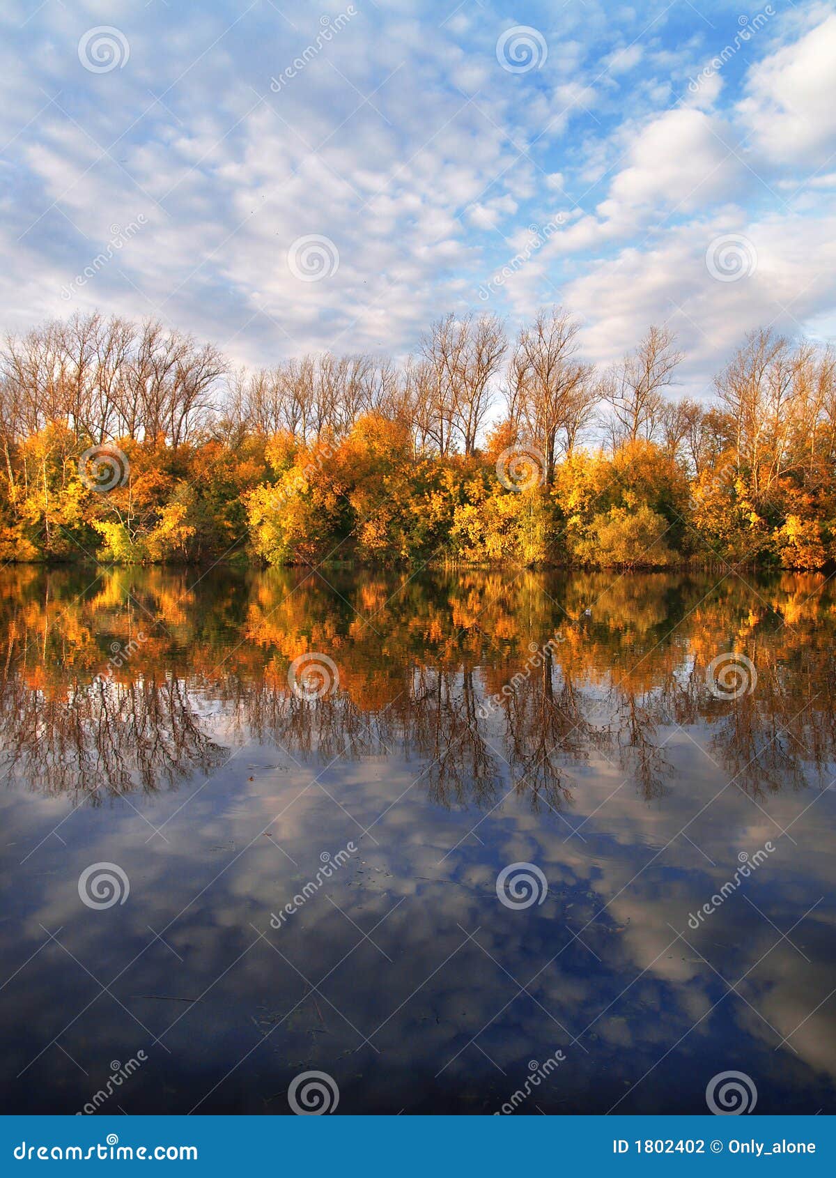 Autumn clouds stock photo. Image of branch, bush, autumn - 1802402