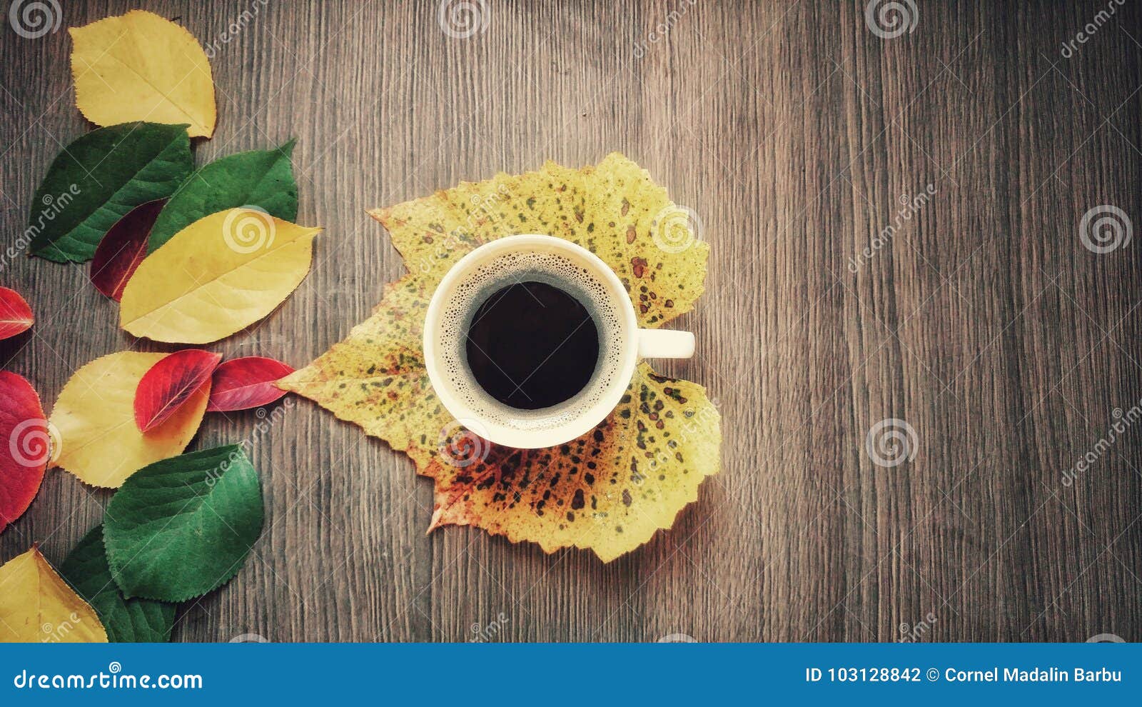 Autumn coffee stock photo. Image of coffee, photographer - 103128842