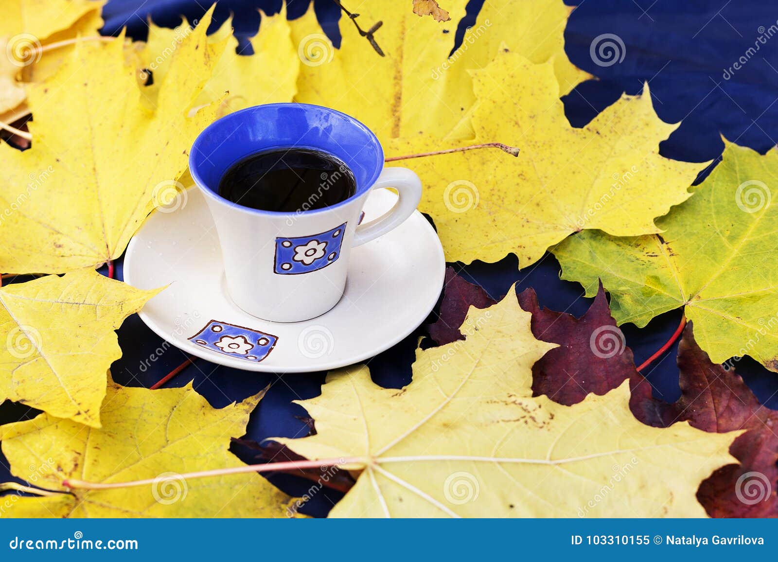 Autumn coffee stock image. Image of fall, breakfast - 103310155