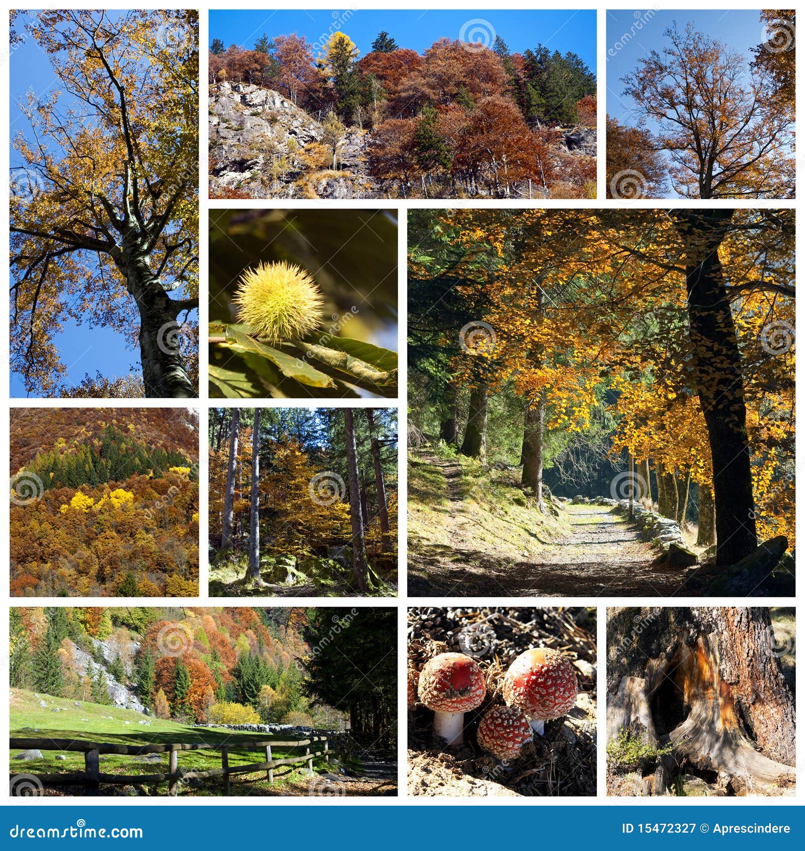 Autumn collage stock image. Image of collage, alpine - 15472327
