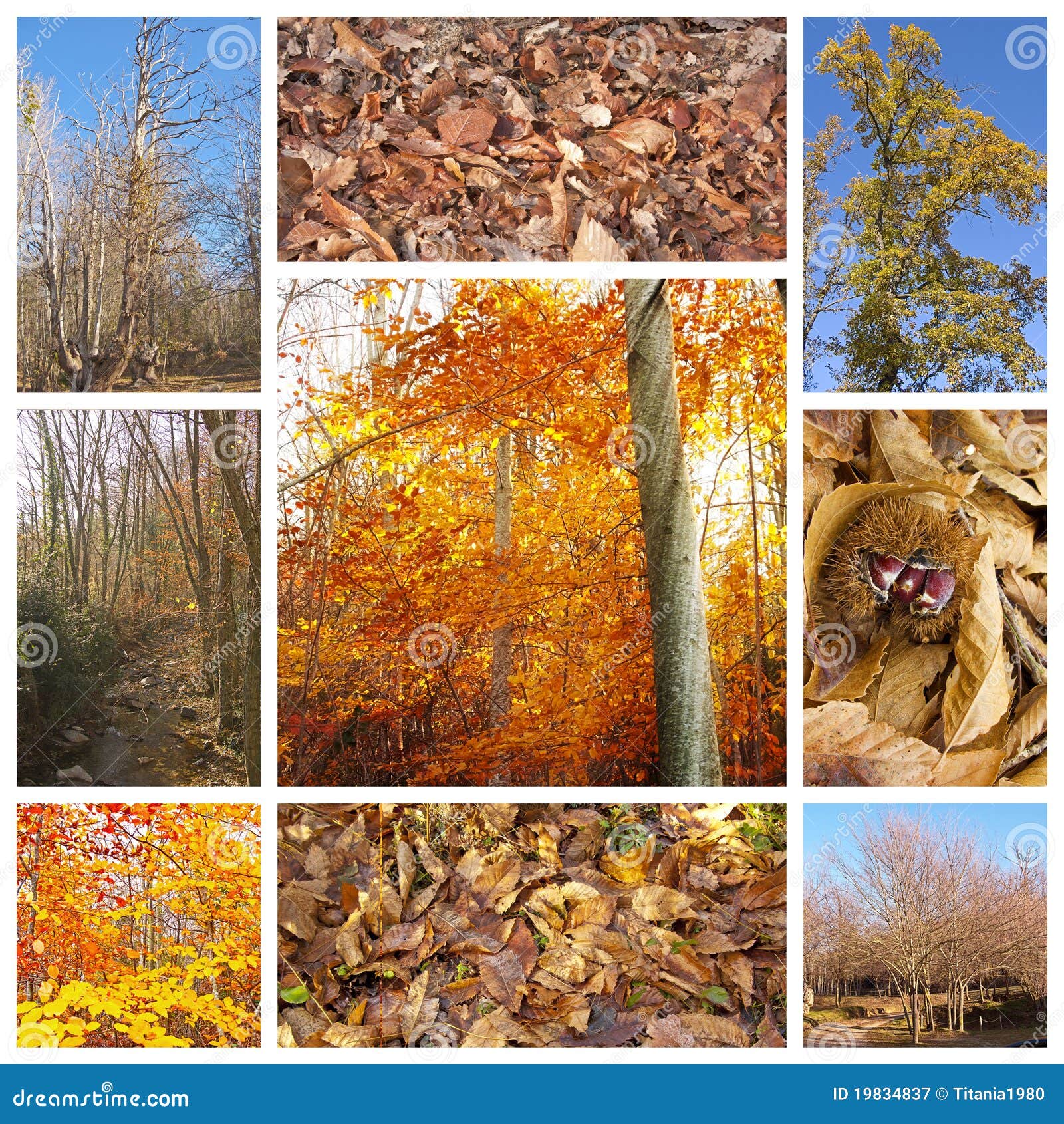 Autumn Collage Showing Different Autumn Landscapes Royalty-Free Stock ...