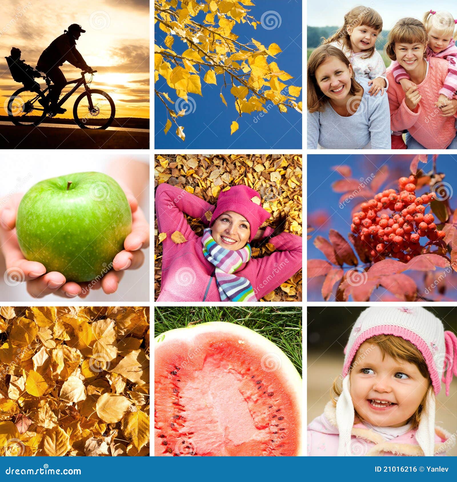 Autumn collage stock photo. Image of harvest, mother - 21016216