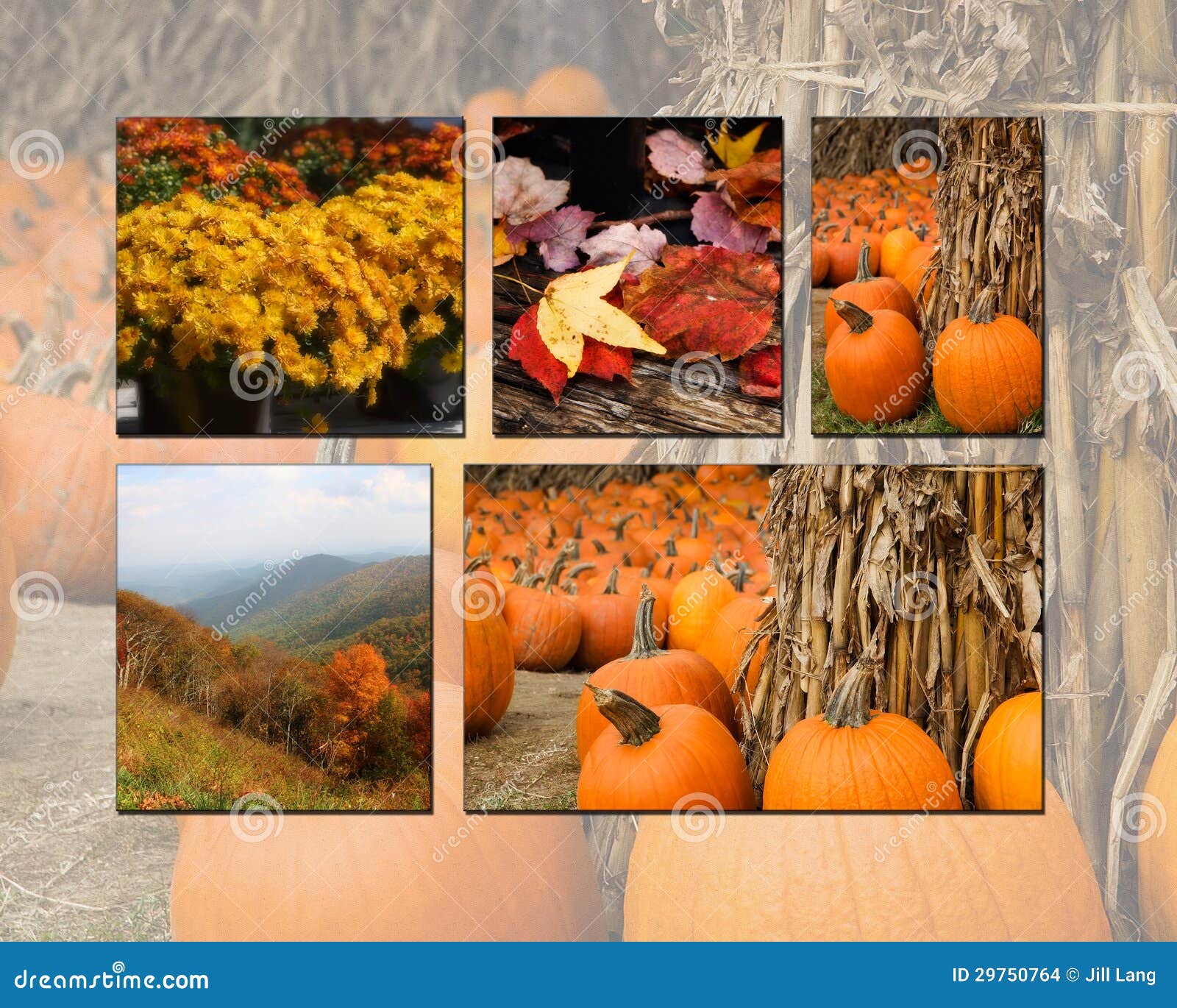 Autumn Collage Showing Different Autumn Landscapes Royalty-Free Stock ...