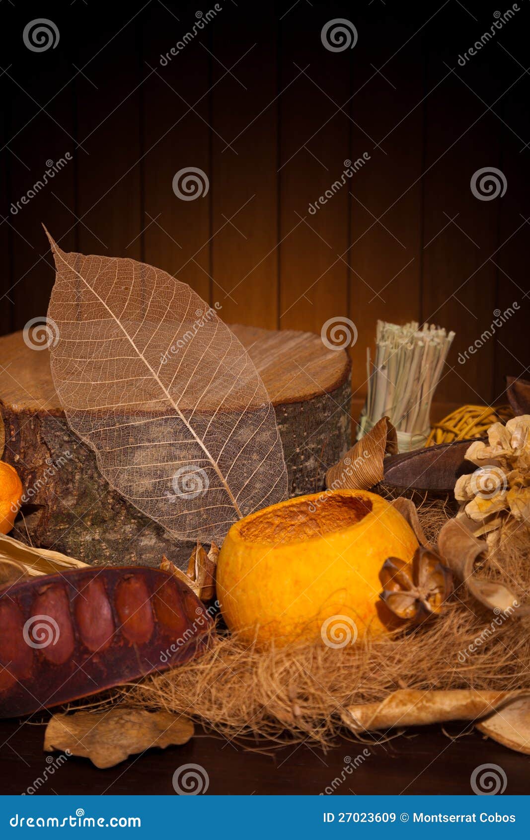 Autumn Collage with Natural Elements Stock Image - Image of straw ...