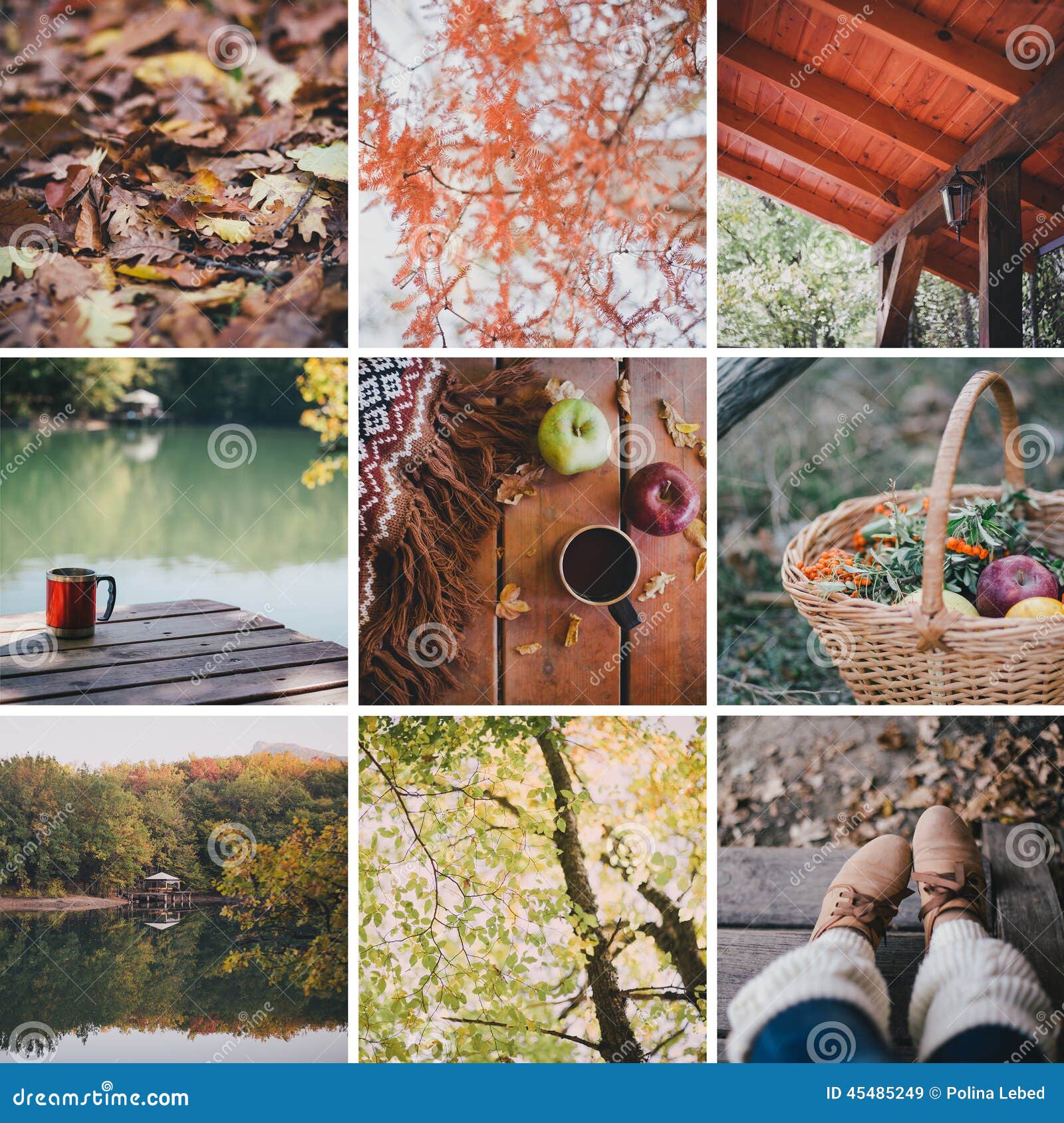 Autumn collage stock image. Image of leaf, brown, beautiful - 45485249