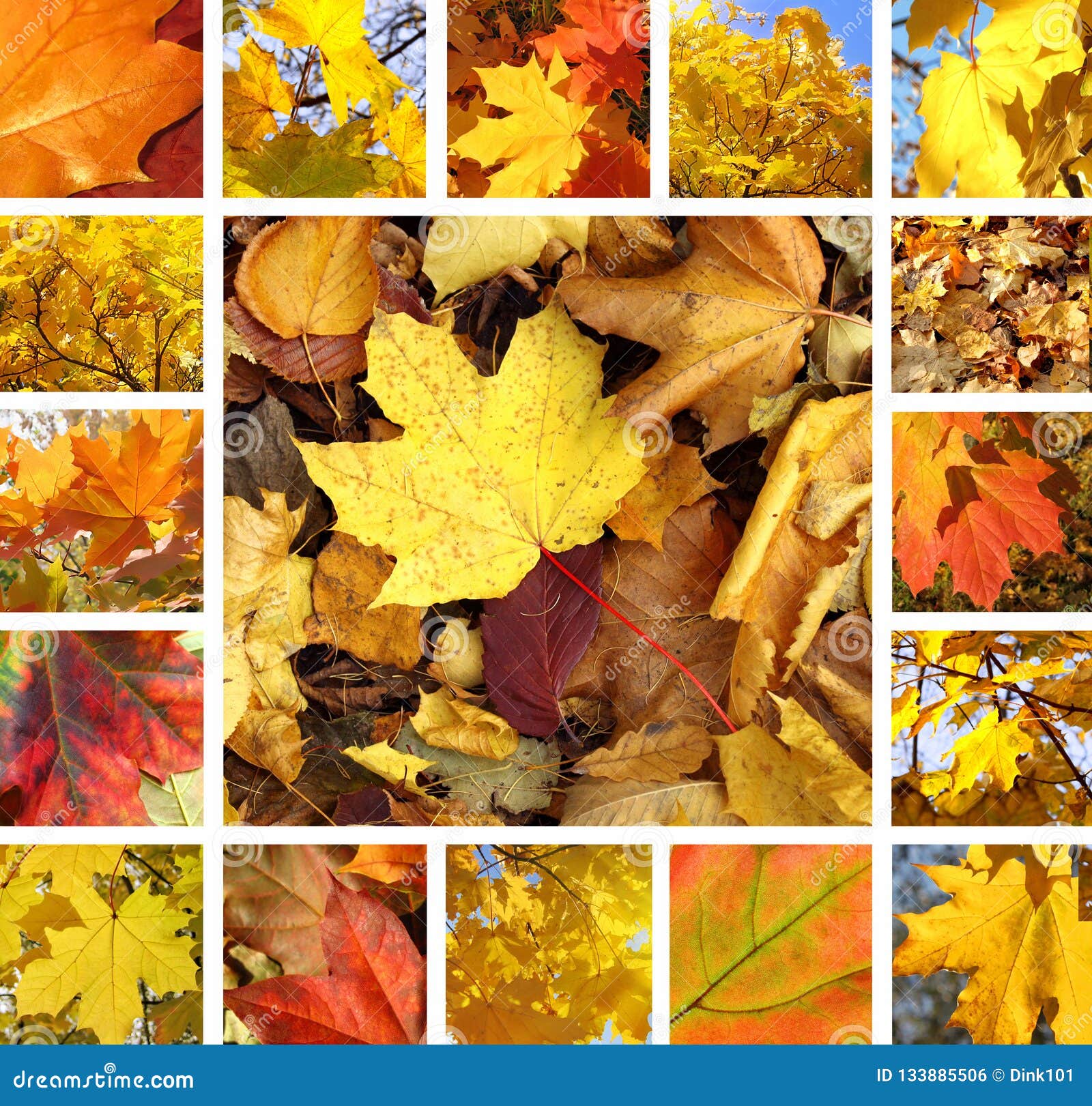 Beautiful autumn collage stock photo. Image of background - 133885506