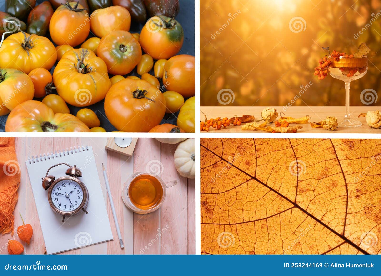 Autumn Collage with Shades of Orange. Fall Concept Stock Image - Image ...