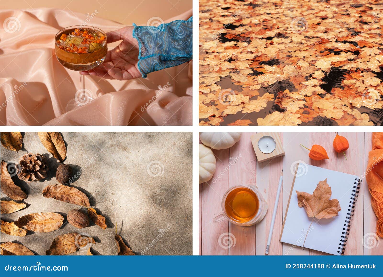 Autumn Collage with Shades of Orange. Fall Concept Stock Photo - Image ...
