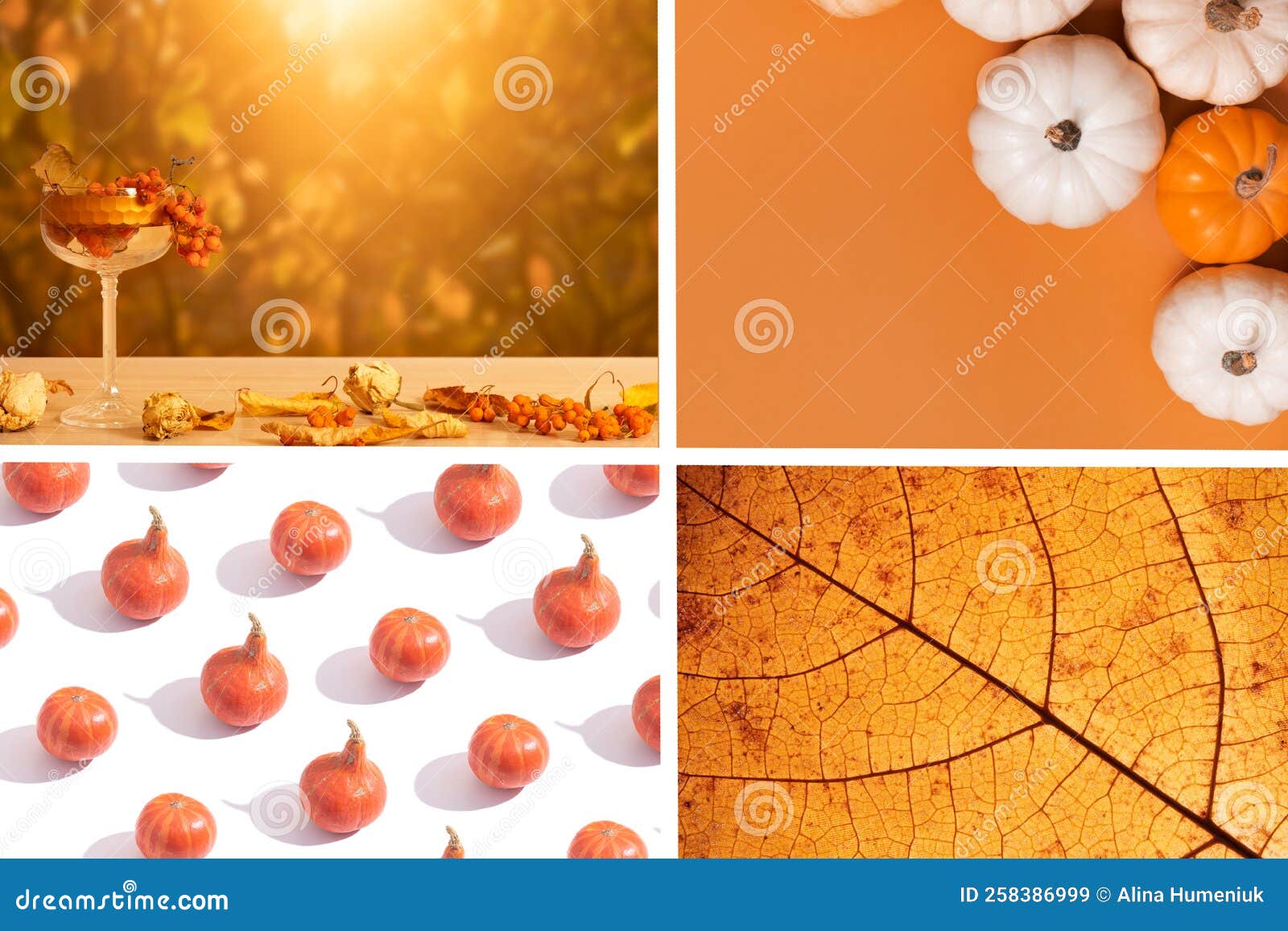 Autumn Collage with Shades of Orange. Fall Concept Stock Image - Image ...