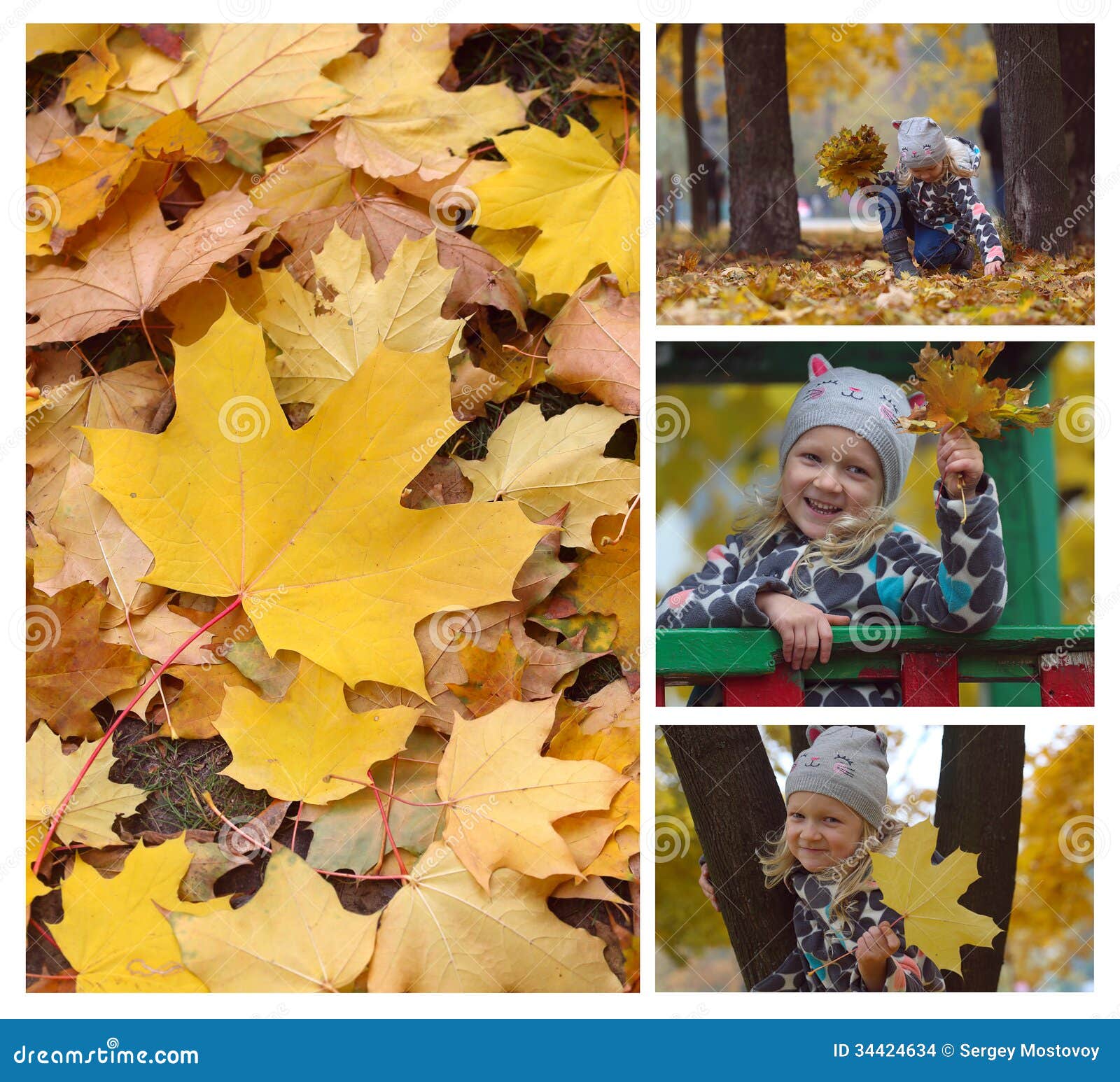 Autumn - collage stock photo. Image of head, color, foliage - 34424634
