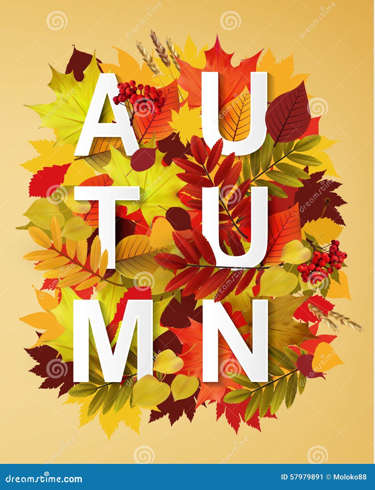 Autumn collection stock vector. Illustration of graphic - 57979891