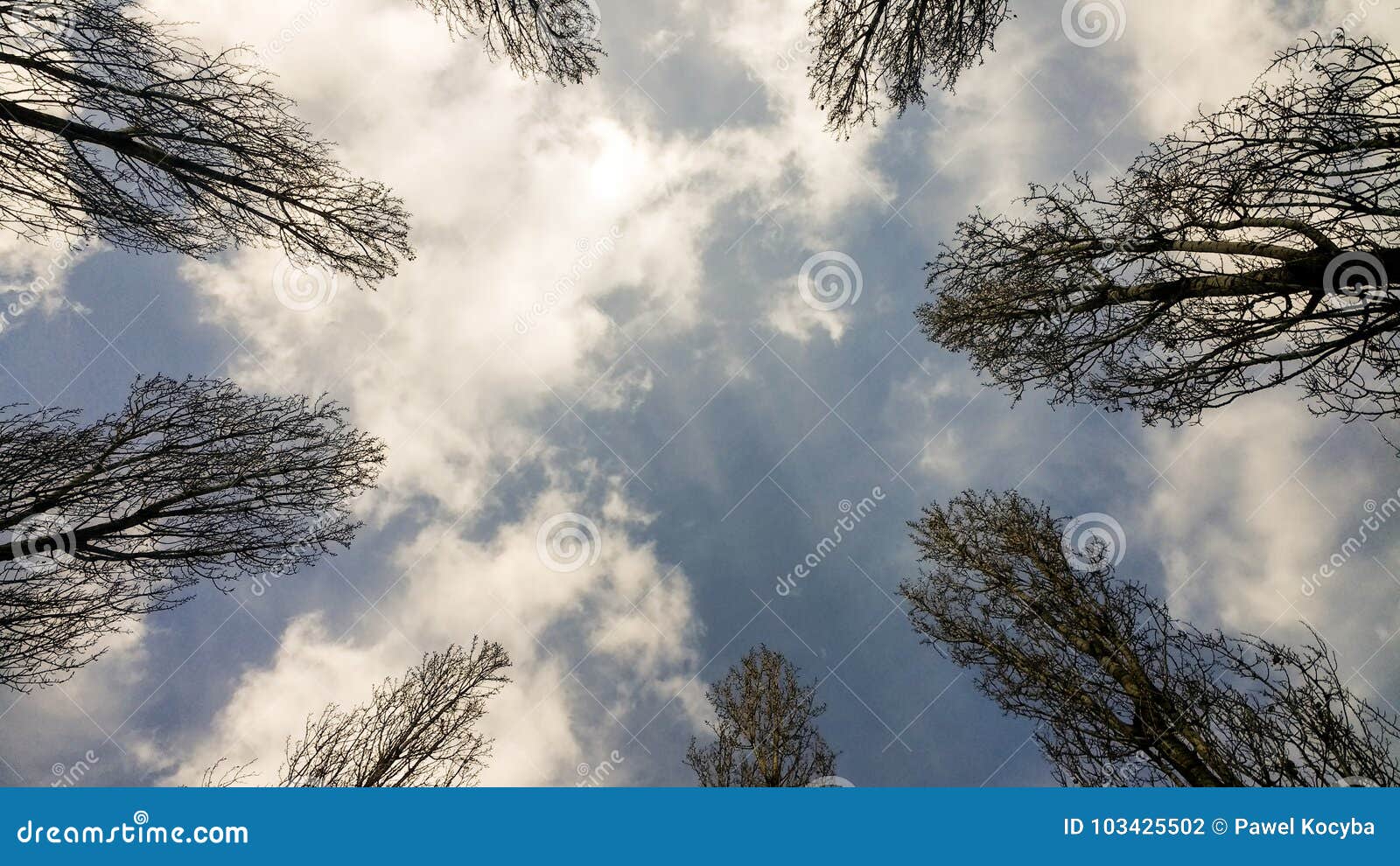 Autumn in Cologne 2 stock photo. Image of cologne, nopeople - 103425502