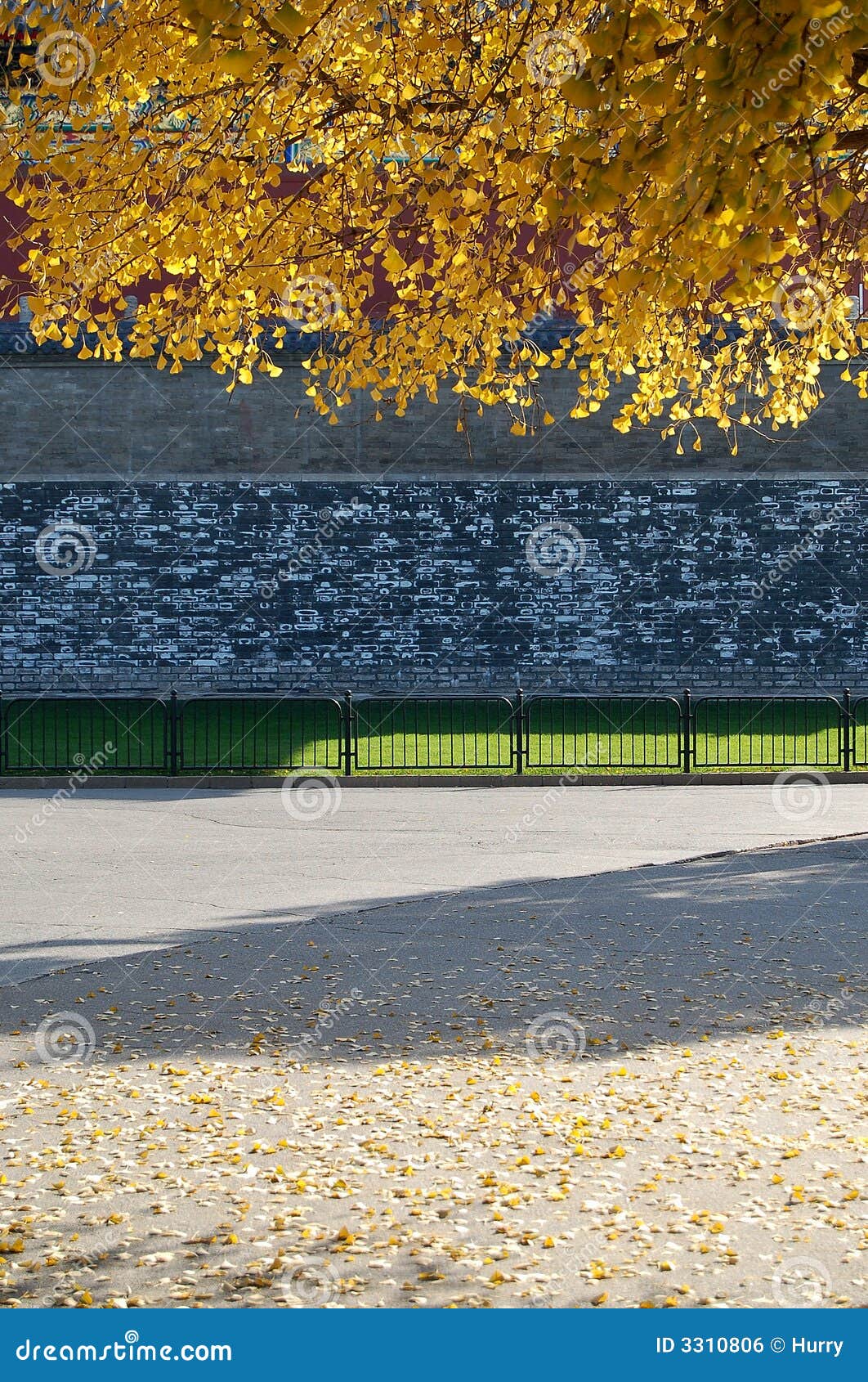 Autumn color in Beijing stock photo. Image of changing - 3310806