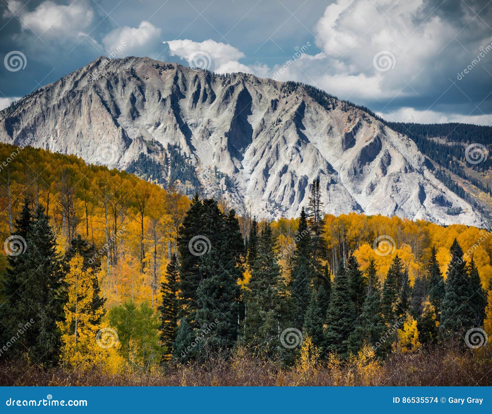 Autumn Color in Colorado foto de archivo. Imagen de talla - 86535574