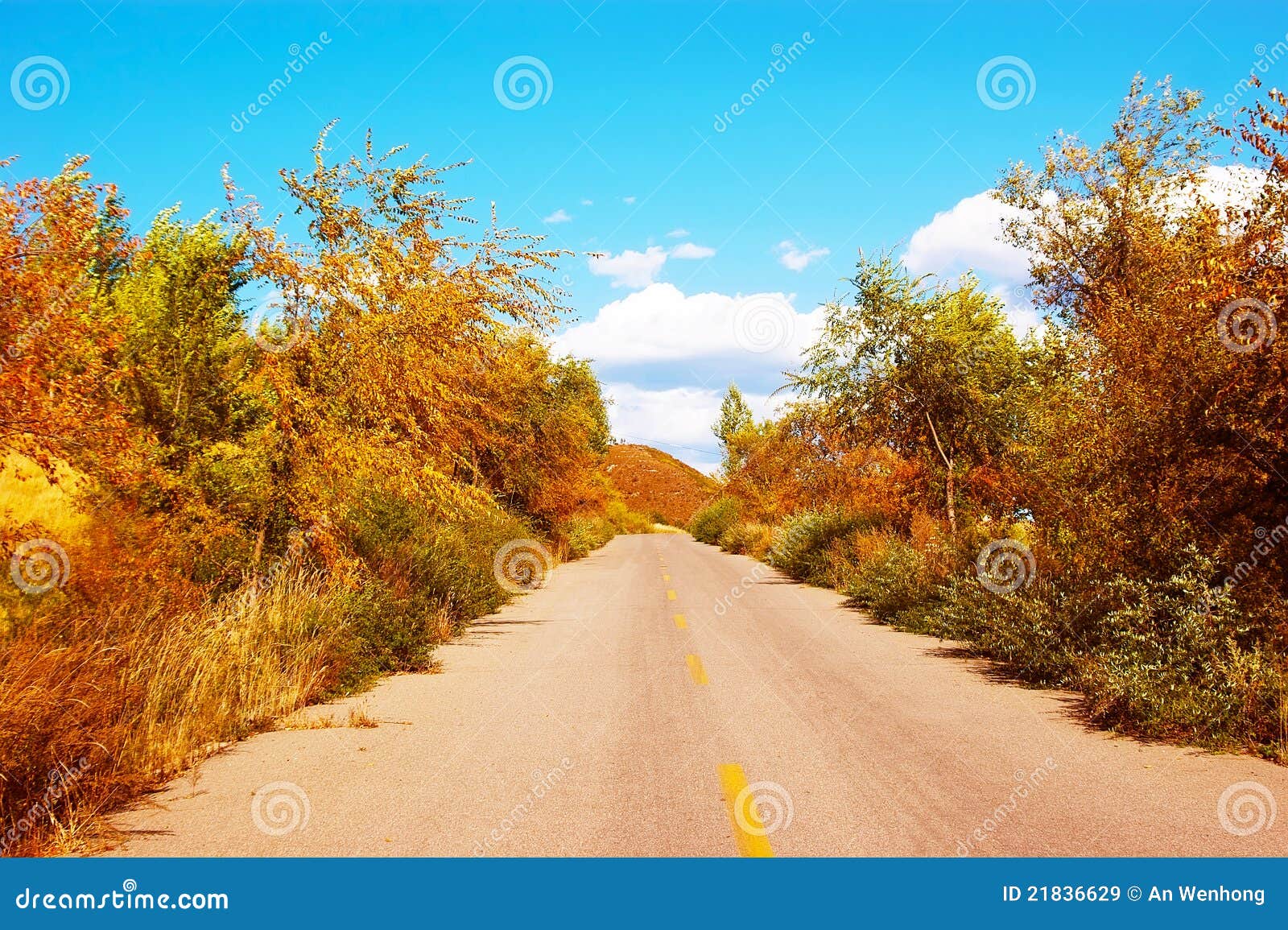 Autumn color highway stock image. Image of highway, autumn - 21836629