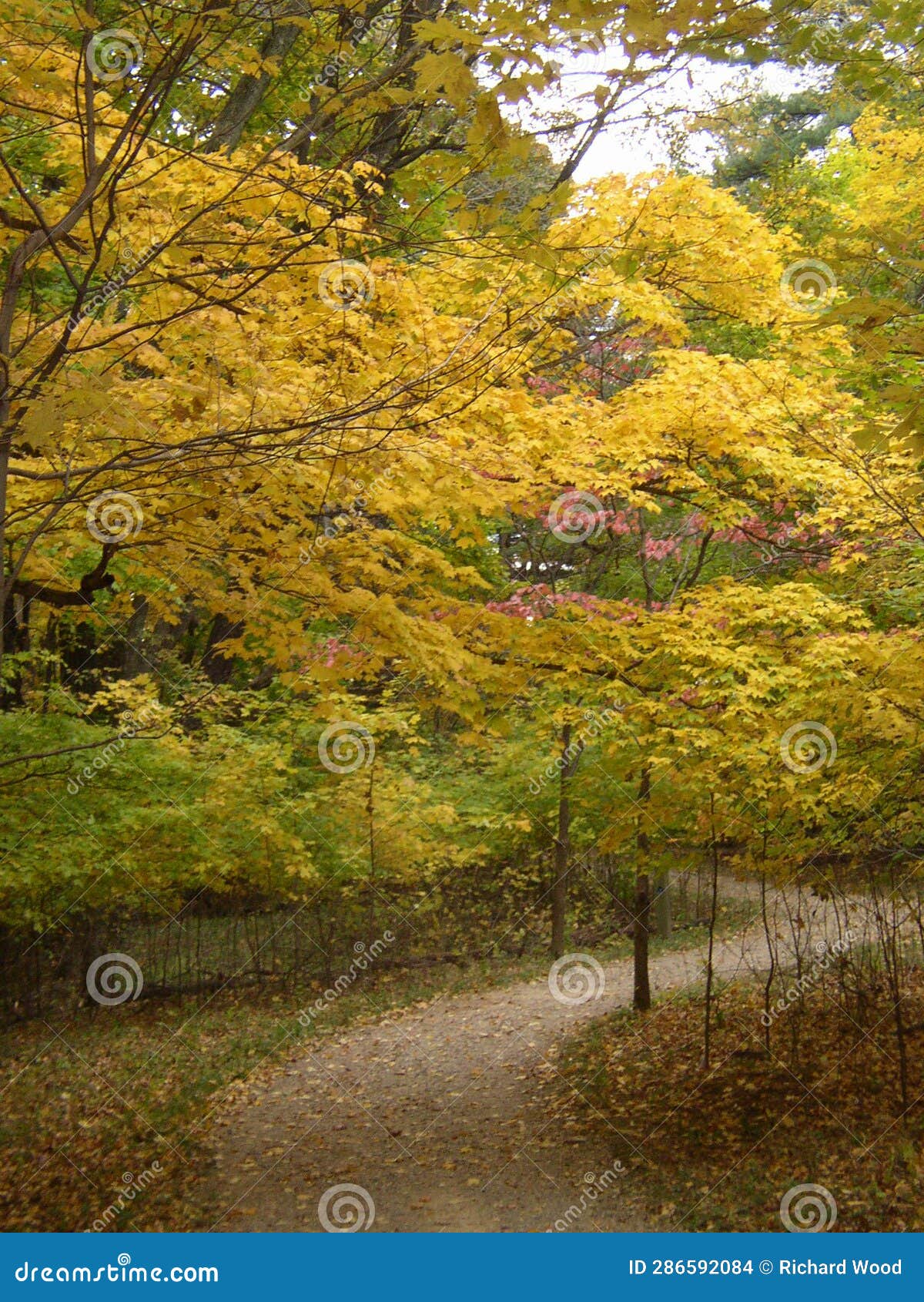 Colorful Autumn Scenes in Ohio Stock Photo - Image of view, seasonal ...