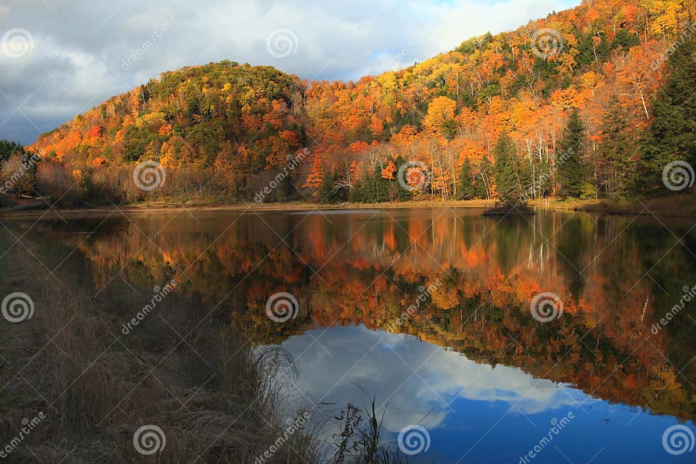 Autumn Color Reflections stock photo. Image of water - 11512958