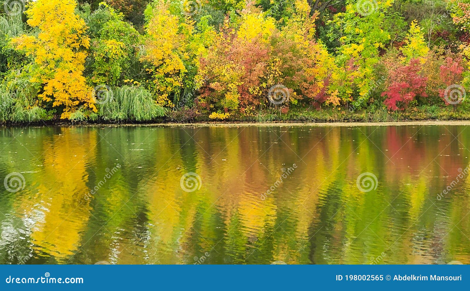 Autumn color reflections stock image. Image of reflection - 198002565