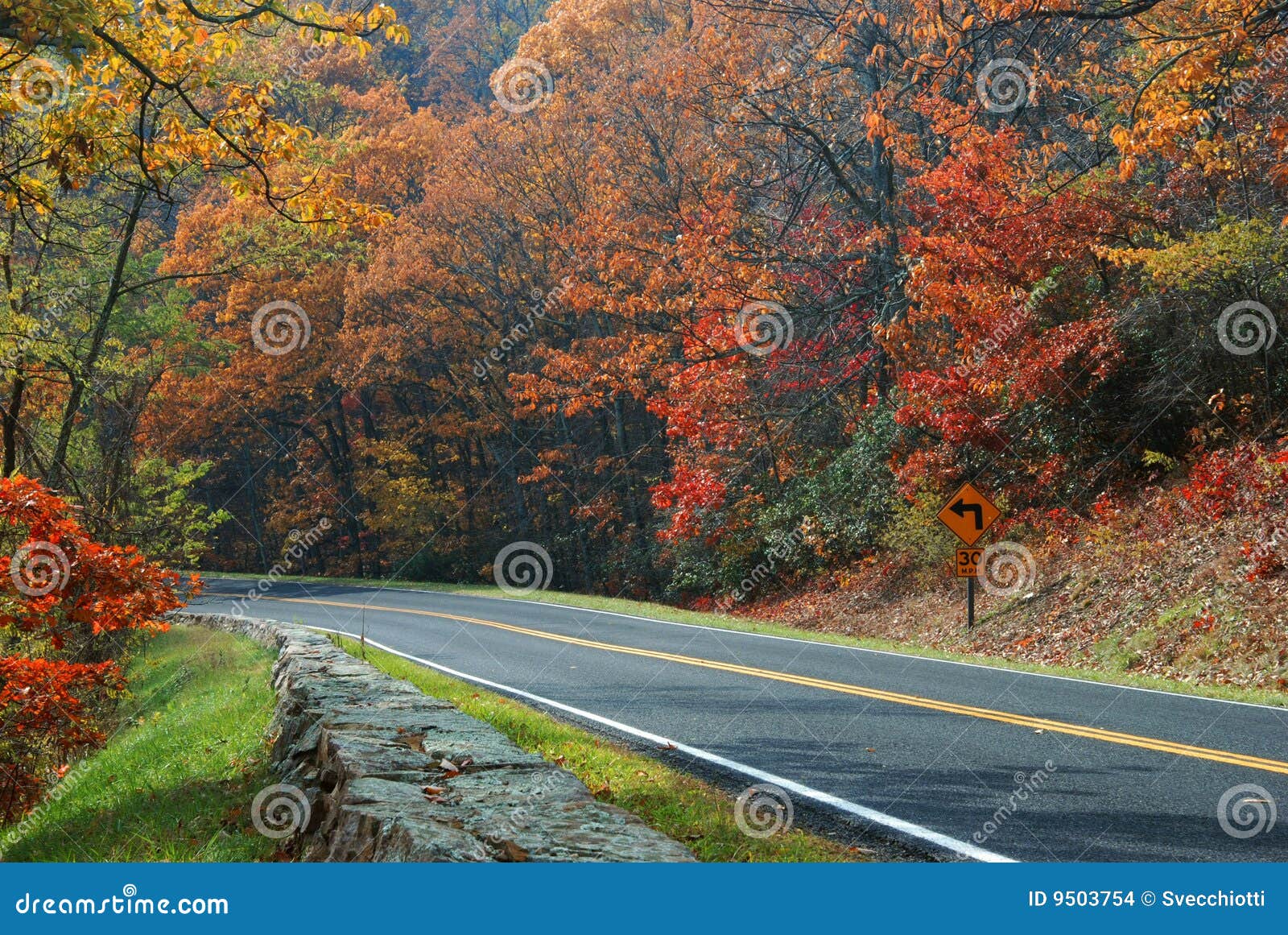 Autumn Color, Skyline Drive Stock Photo - Image of shenandoah ...