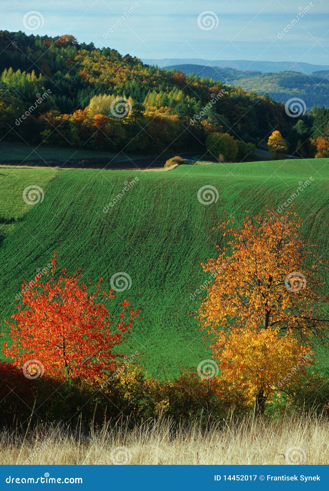 Autumn color spectrum stock image. Image of autumn, outside - 14452017