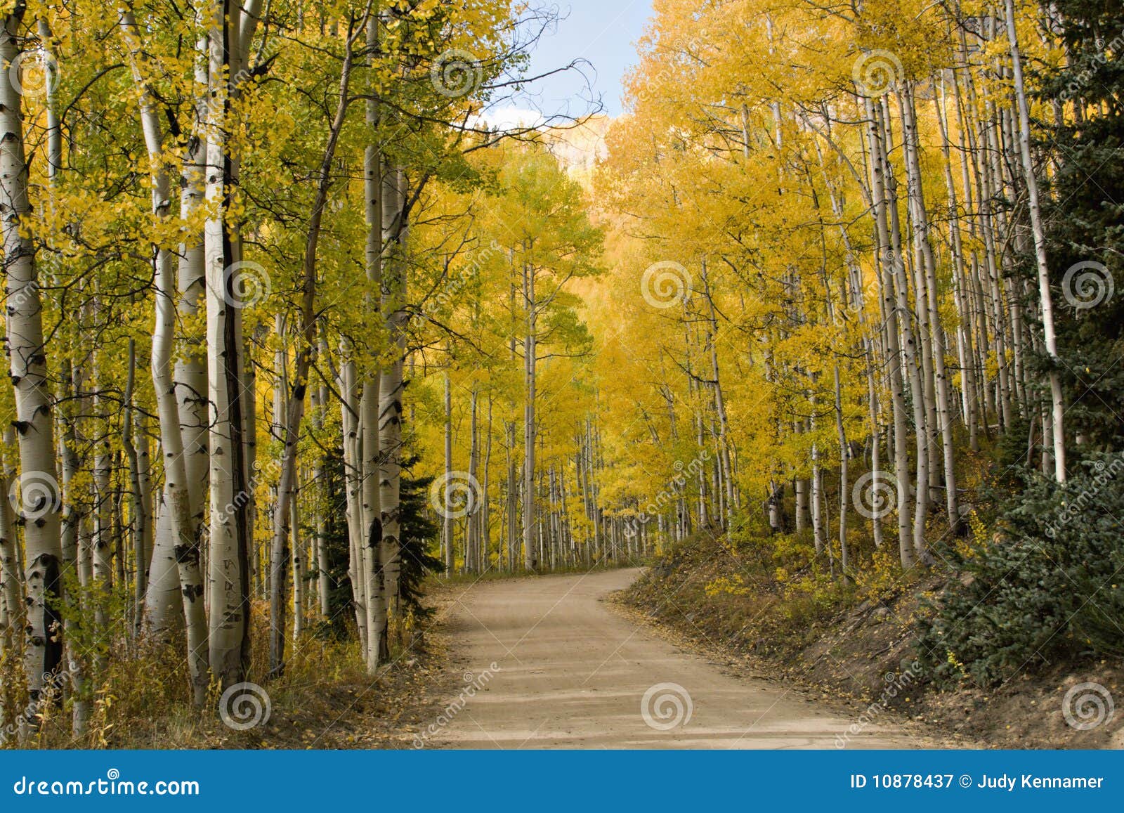 Autumn Colorado Dirt Road stock image. Image of blue - 10878437