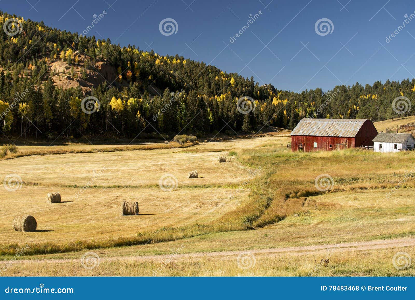 Autumn at a Colorado Ranch stock photo. Image of tree - 78483468