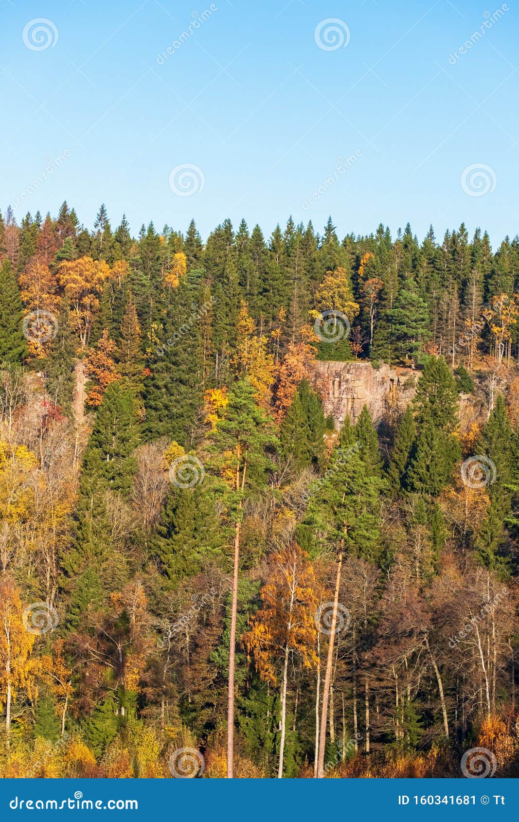 Autumn Colored Forest with a Cliff Stock Image - Image of copy, fall ...