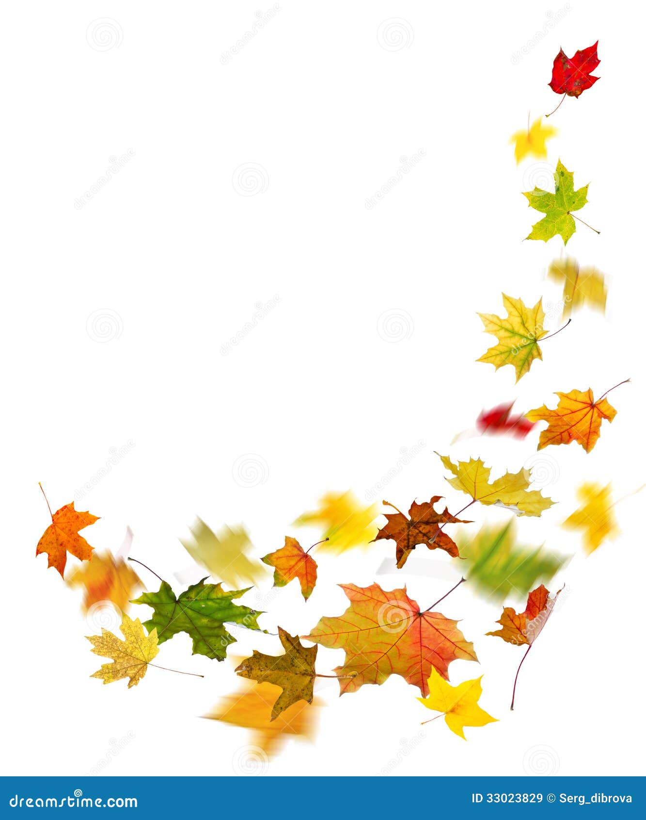 Autumn Colored Leaves Falling Stock Image - Image of abstract ...
