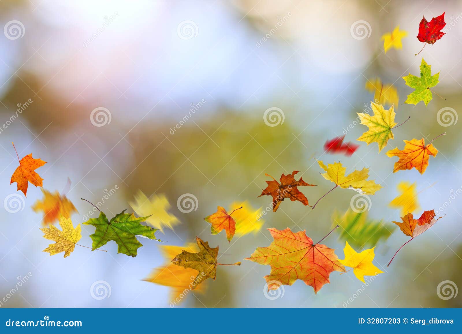 Autumn Colored Leaves Falling Stock Image - Image of abstract ...