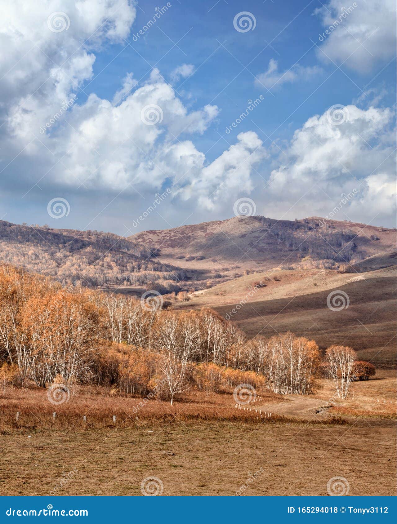 Autumn Colored Scenery with Dramatic Clouds, Inner Mongolia, China ...
