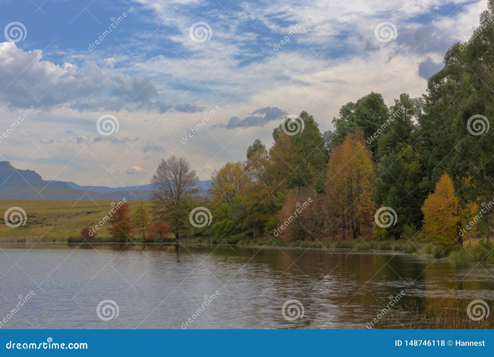 Autumn Colored Trees Next To the Water Stock Photo - Image of foliage ...