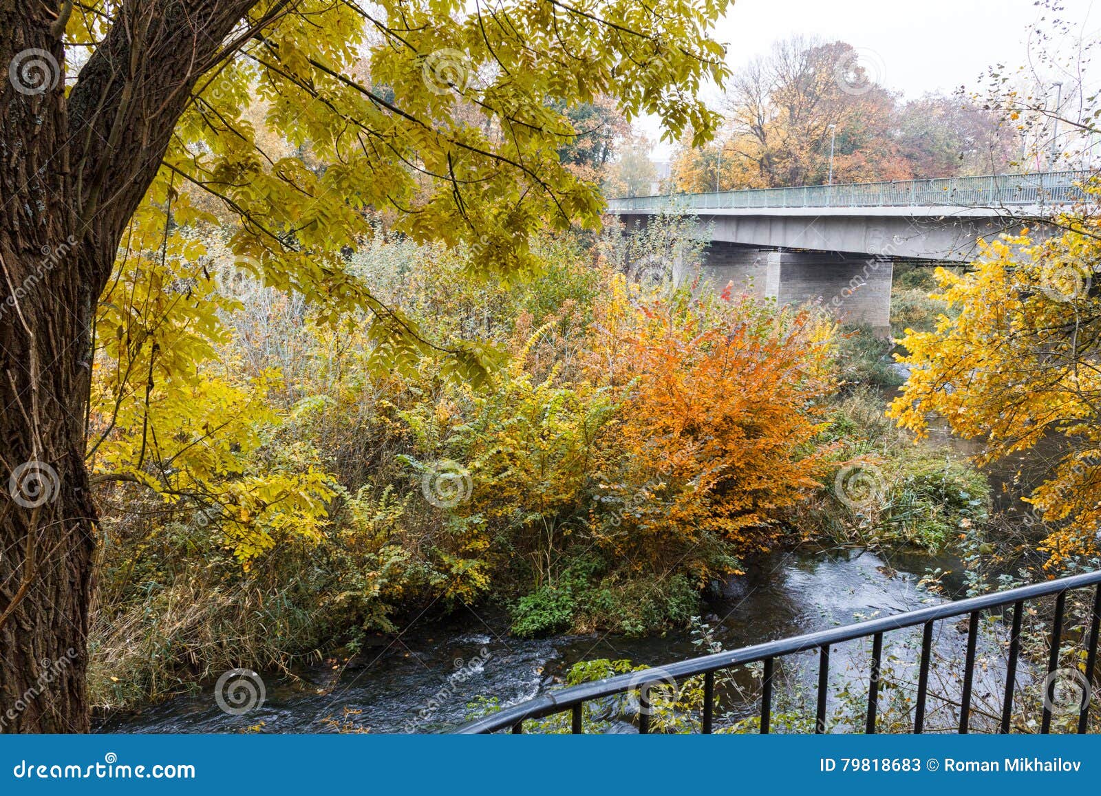 Autumn Colorful Forest with a River and a Bridge Stock Image - Image of ...